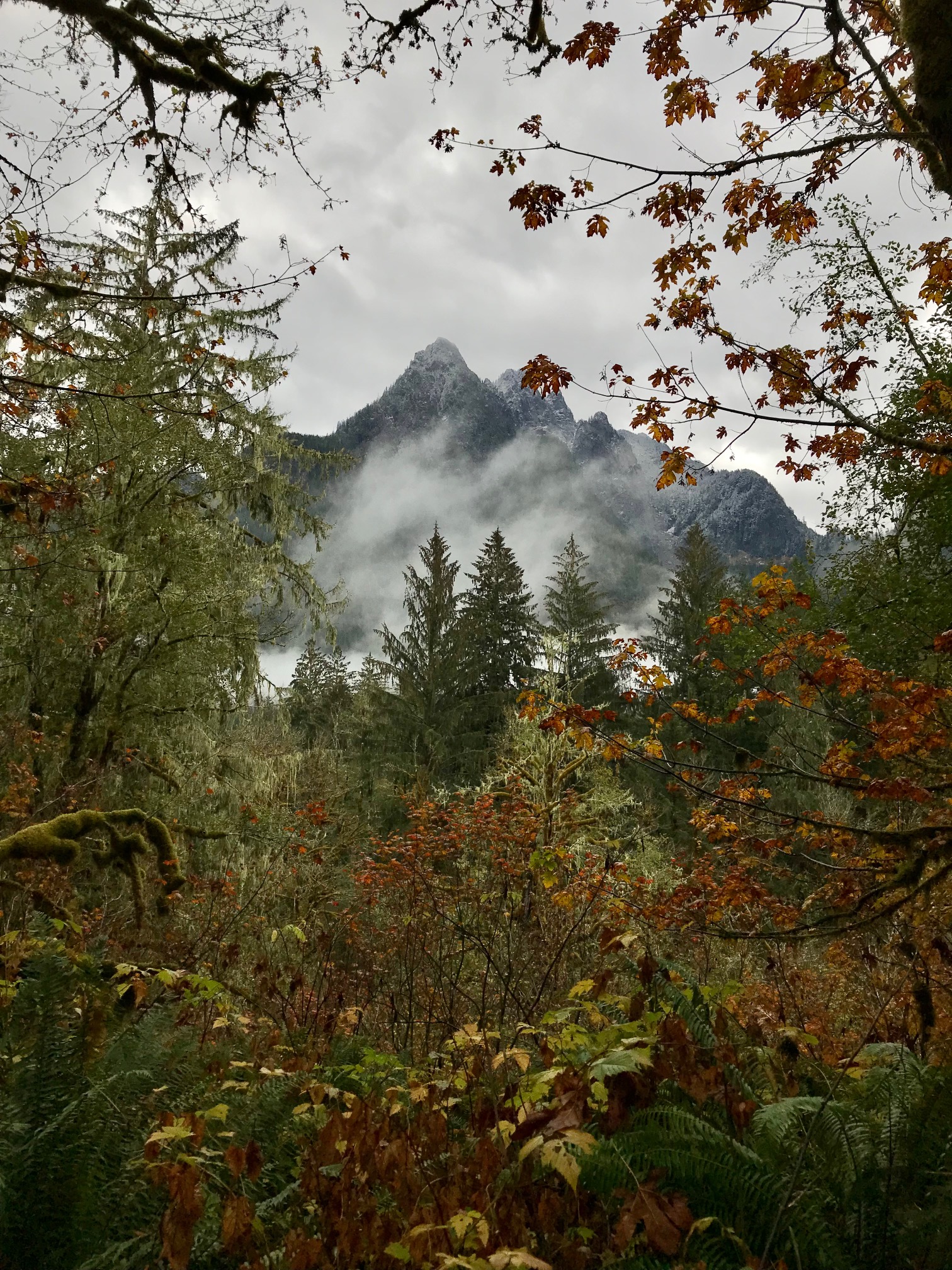 Oxbow Loop Trail — Washington Trails Association