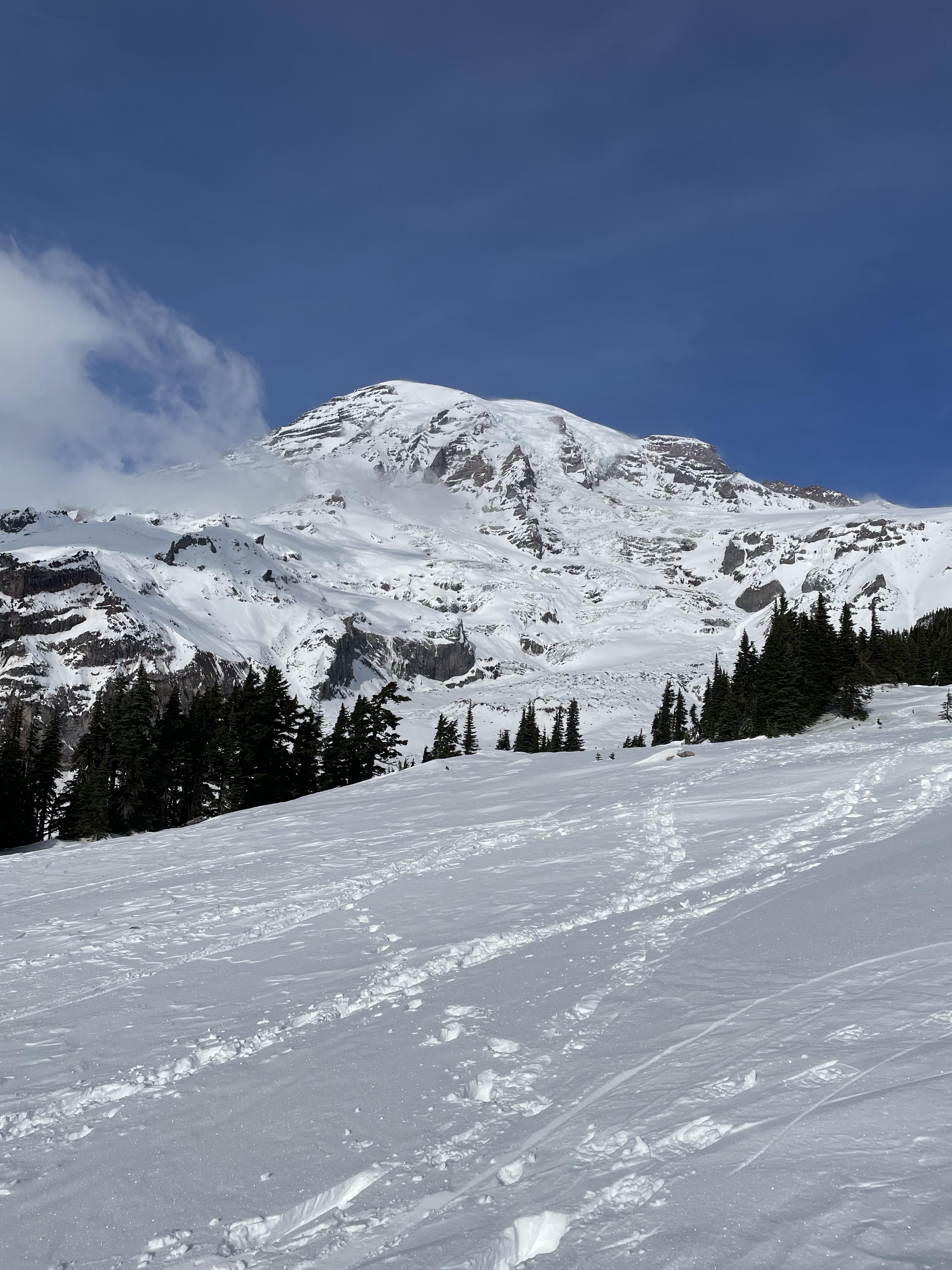 Panorama Point Snowshoe — Washington Trails Association