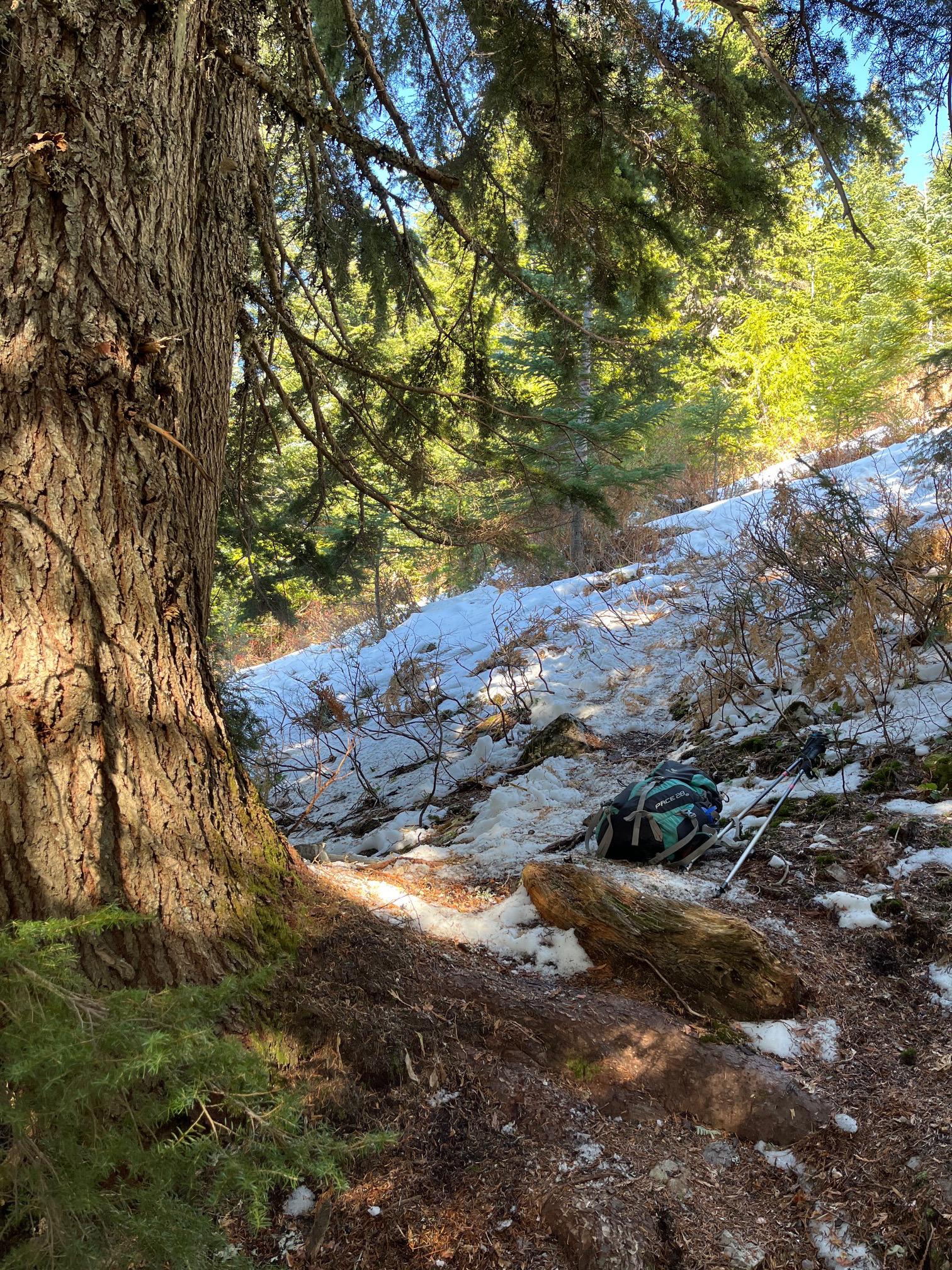 Mount Teneriffe, Teneriffe Falls — Washington Trails Association