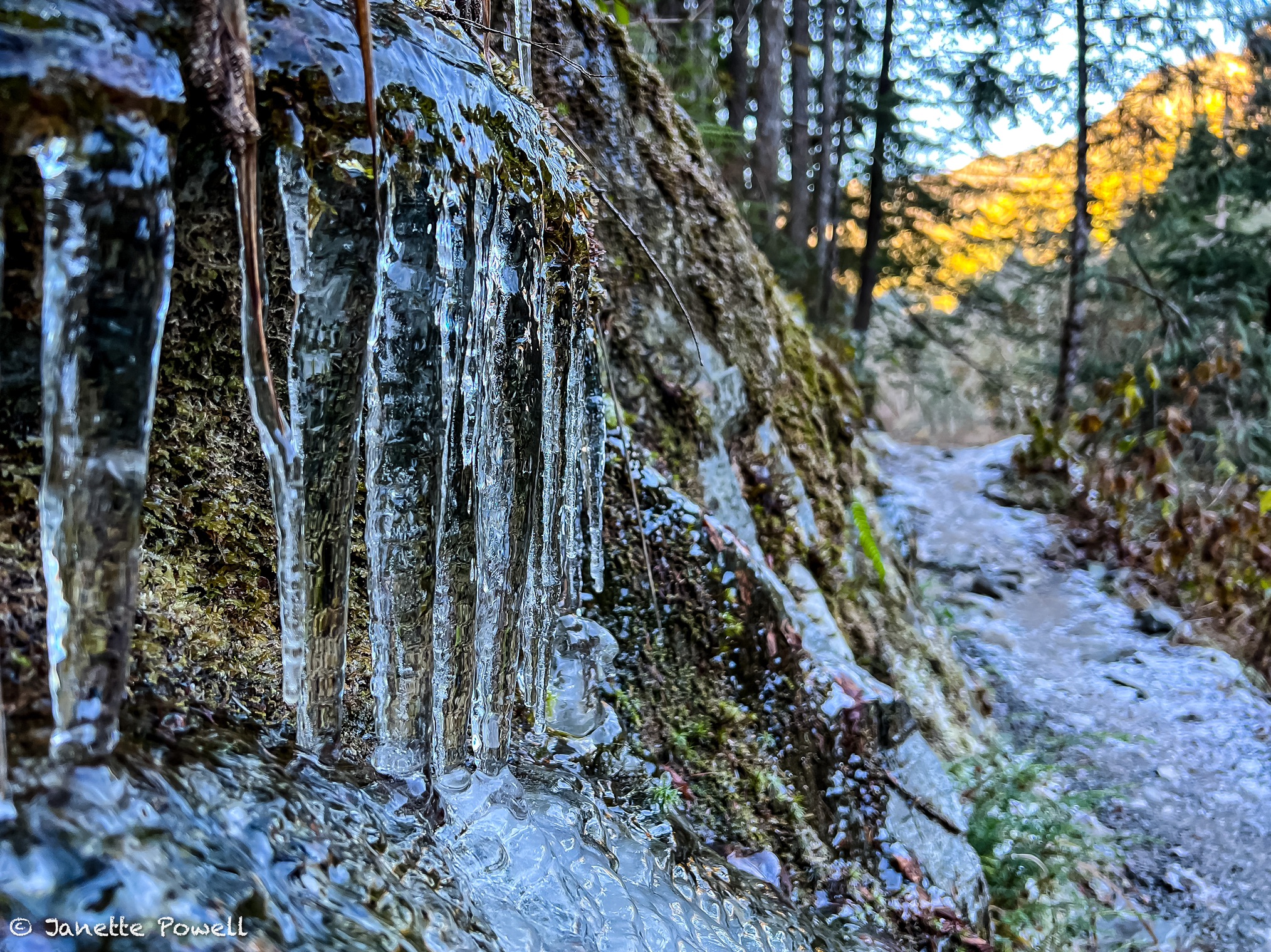 Pratt Connector to Pratt River Trail — Washington Trails Association