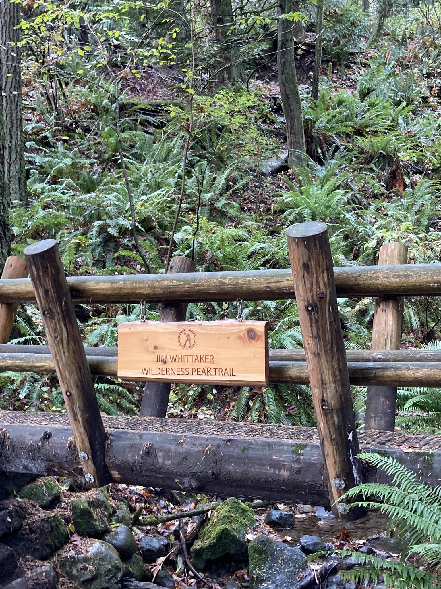 Whittaker Wilderness Peak, Shy Bear — Washington Trails Association