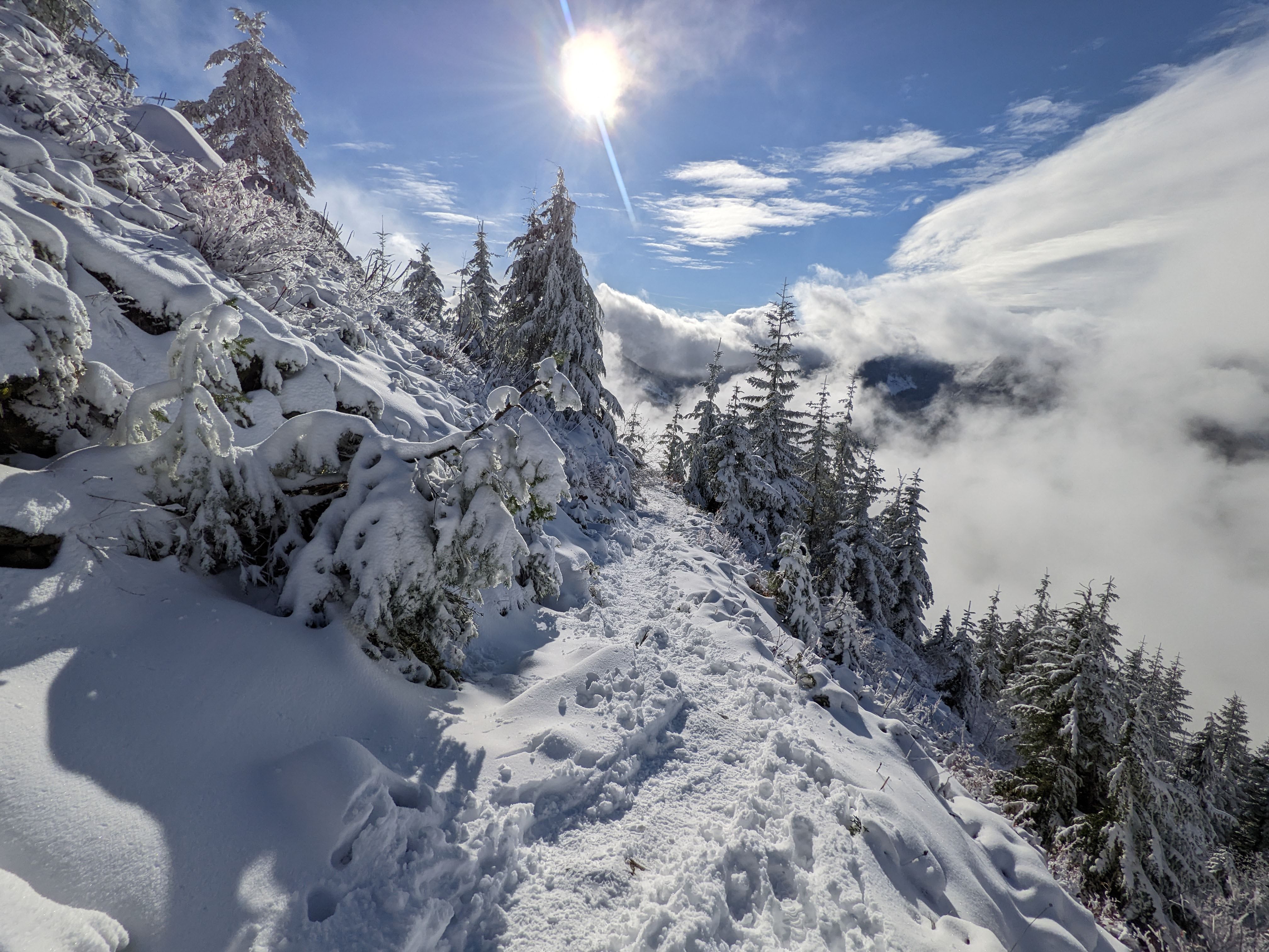 Ira Spring Trail - Mason Lake — Washington Trails Association