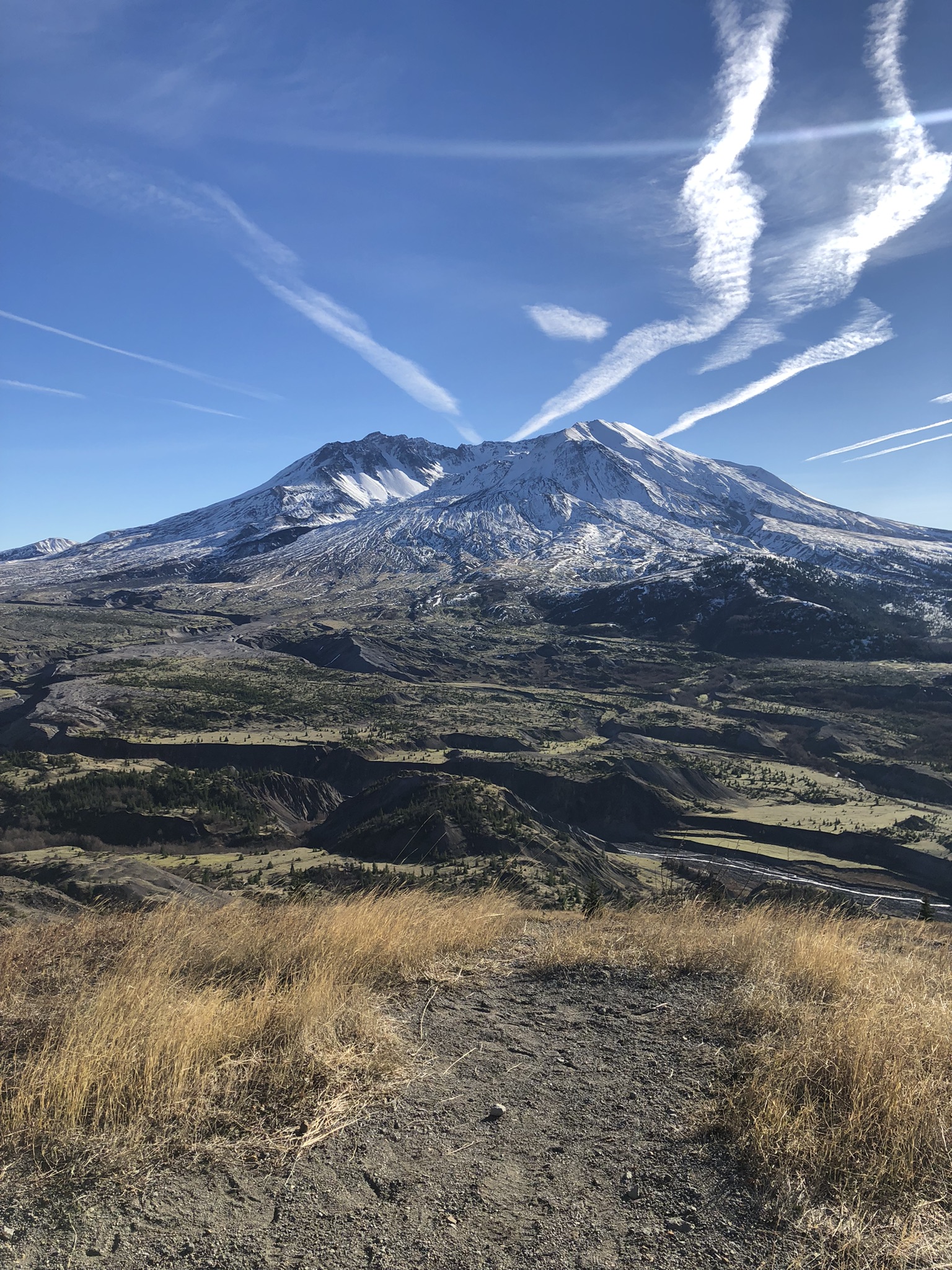 Hummocks Loop, Boundary Trail — Washington Trails Association