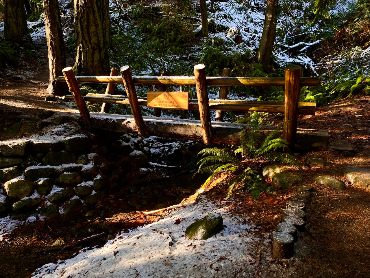 Wilderness Peak Loop — Washington Trails Association