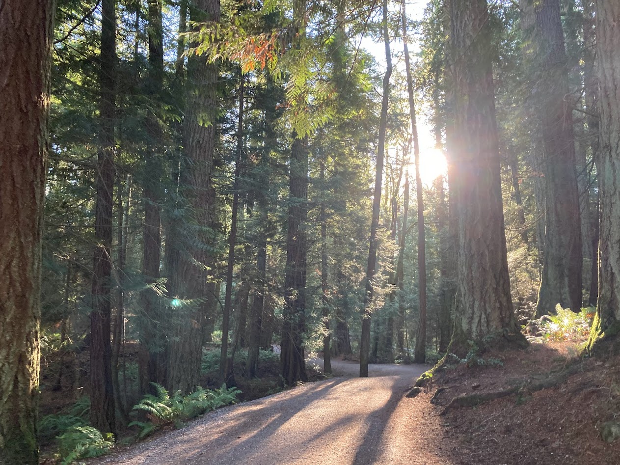 Lake Padden Park — Washington Trails Association
