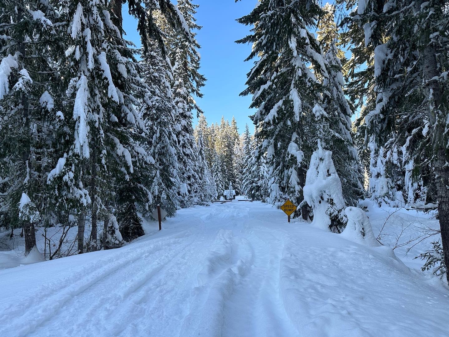 Kachess Lake — Washington Trails Association