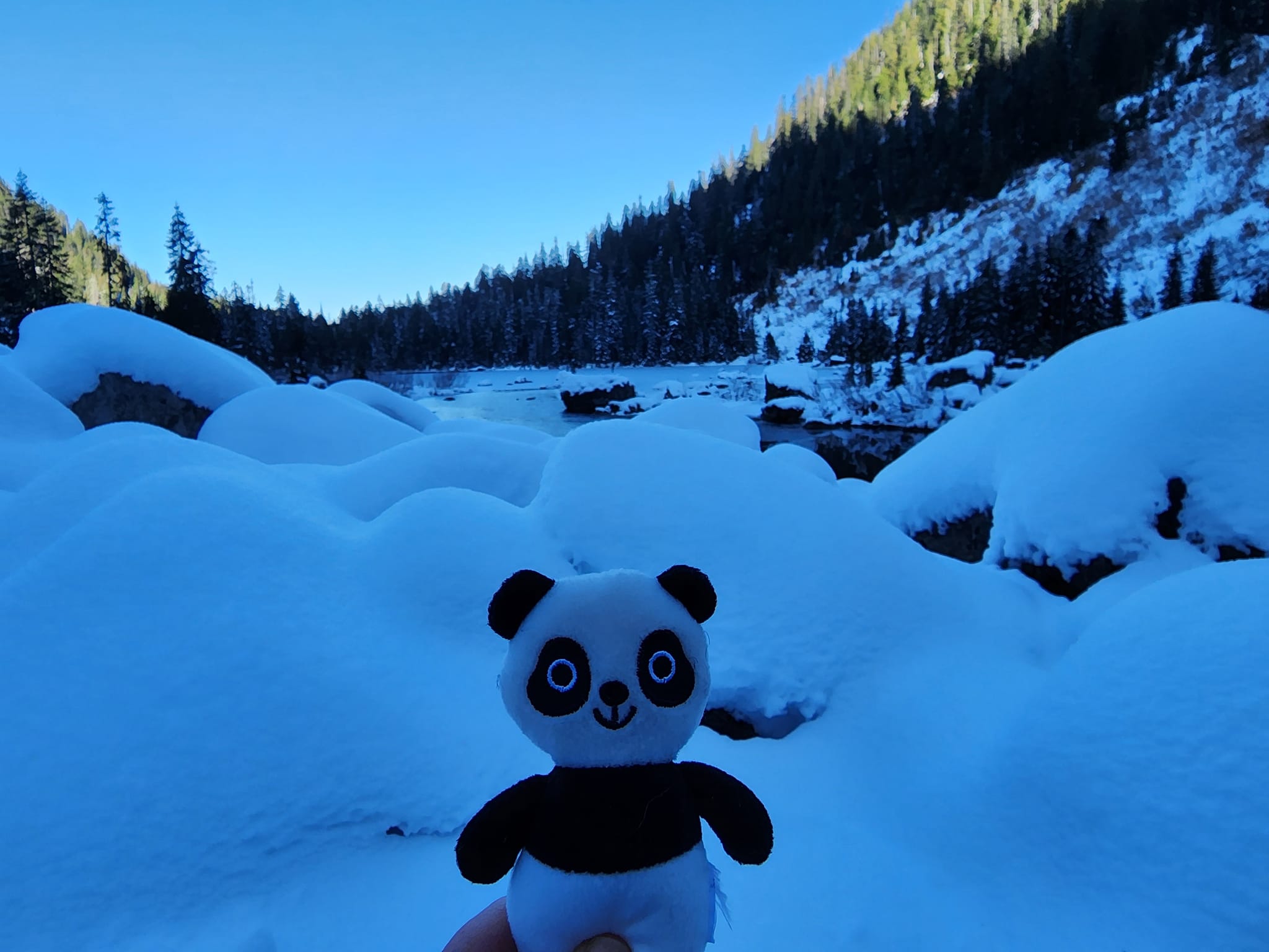 Heather Lake Snowshoe, Heather Lake — Washington Trails Association