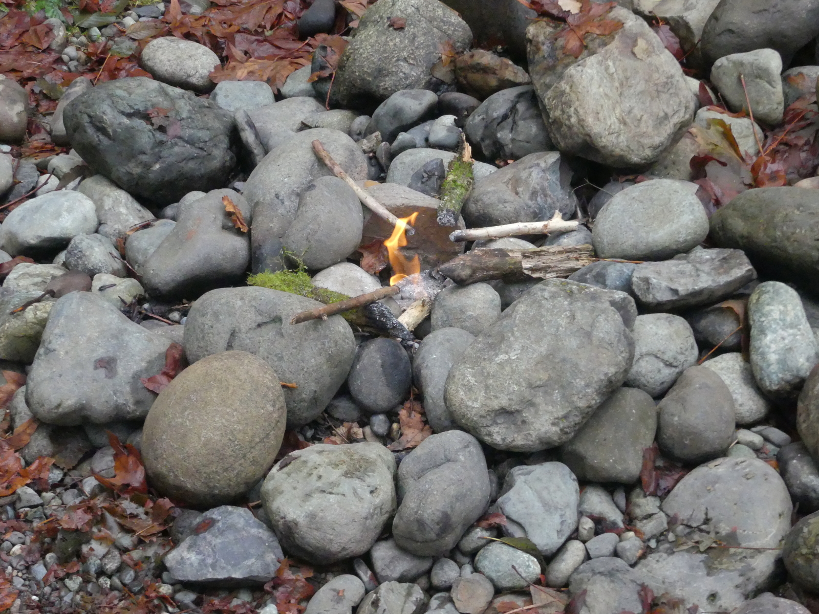 Flaming Geyser State Park — Washington Trails Association