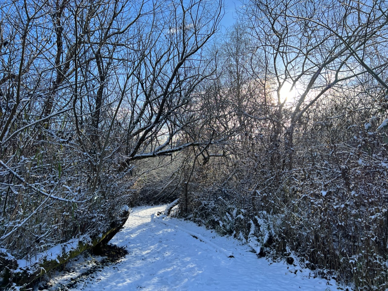 Mercer Slough Nature Park — Washington Trails Association