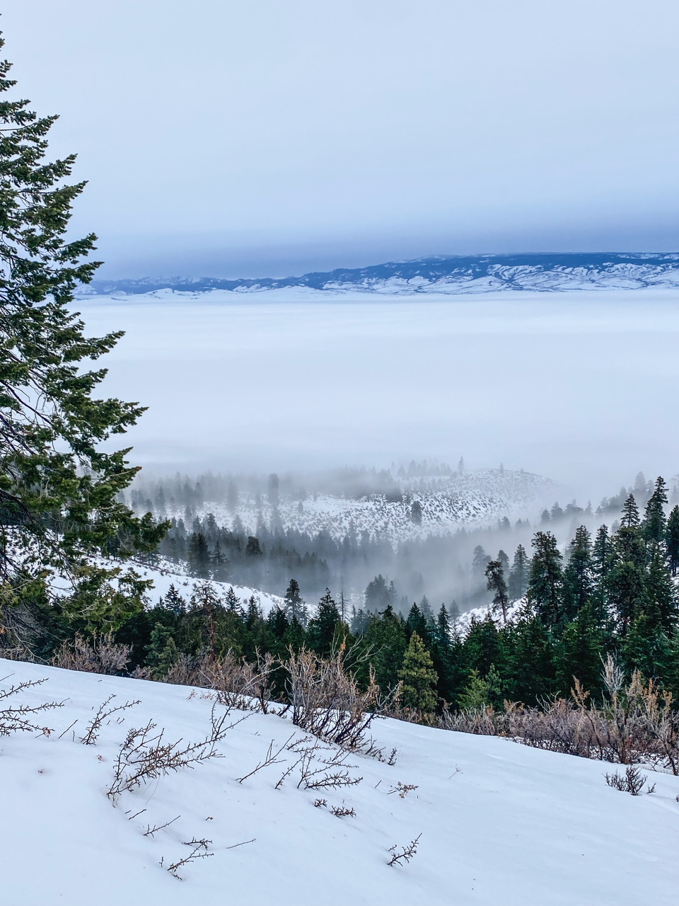 Manastash Ridge, Manastash Ridge - Westberg Trail, Manastash Ridge ...