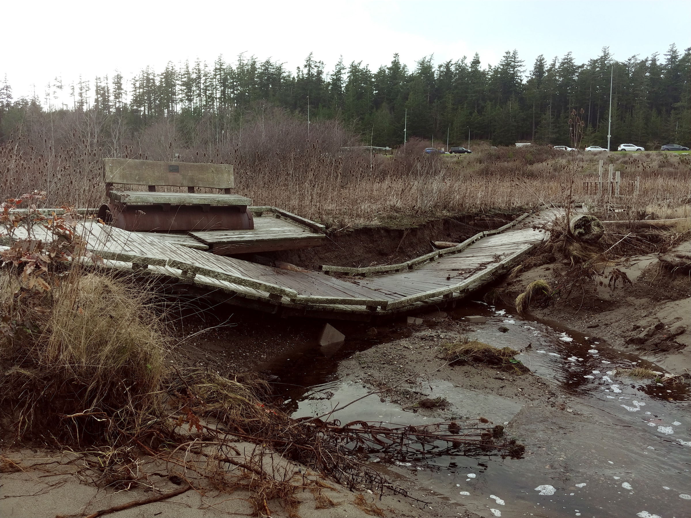 Guemes Channel and Ship Harbor — Washington Trails Association