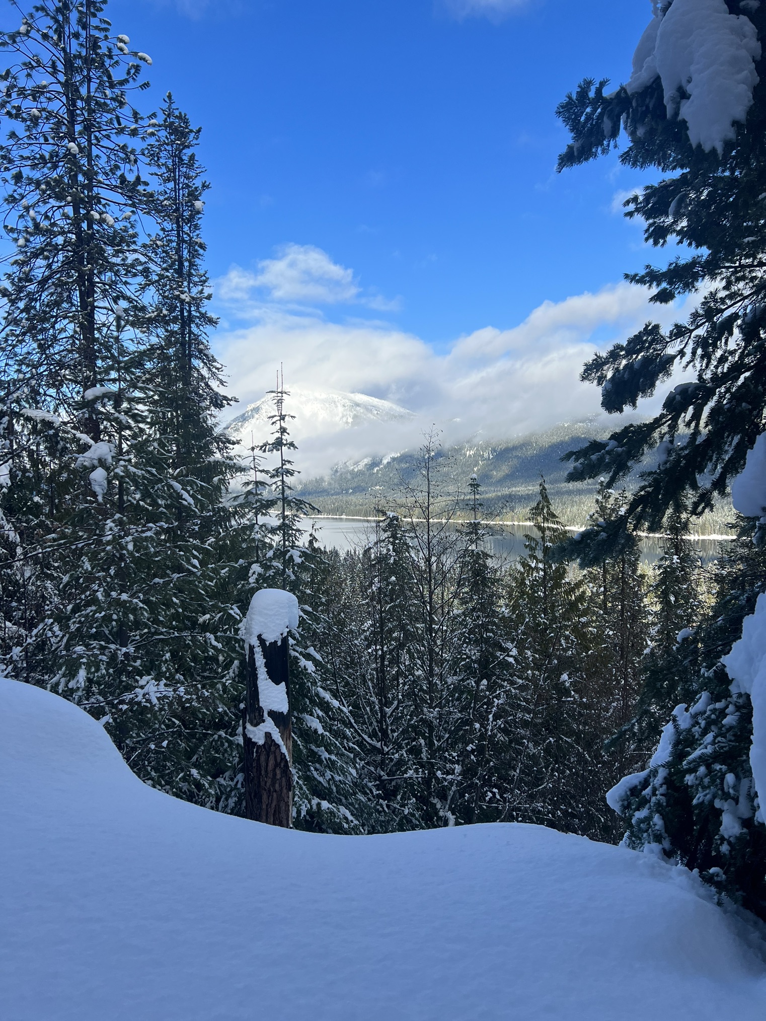 Nason Ridge Snowshoe — Washington Trails Association