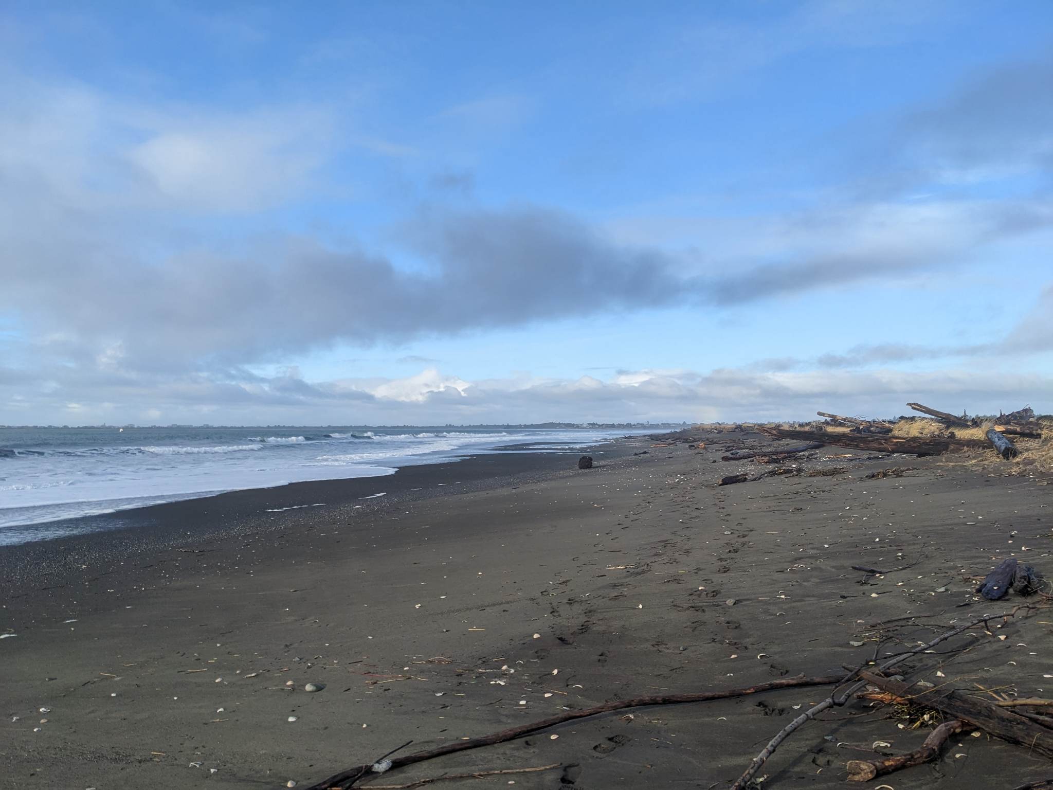 Damon Point — Washington Trails Association