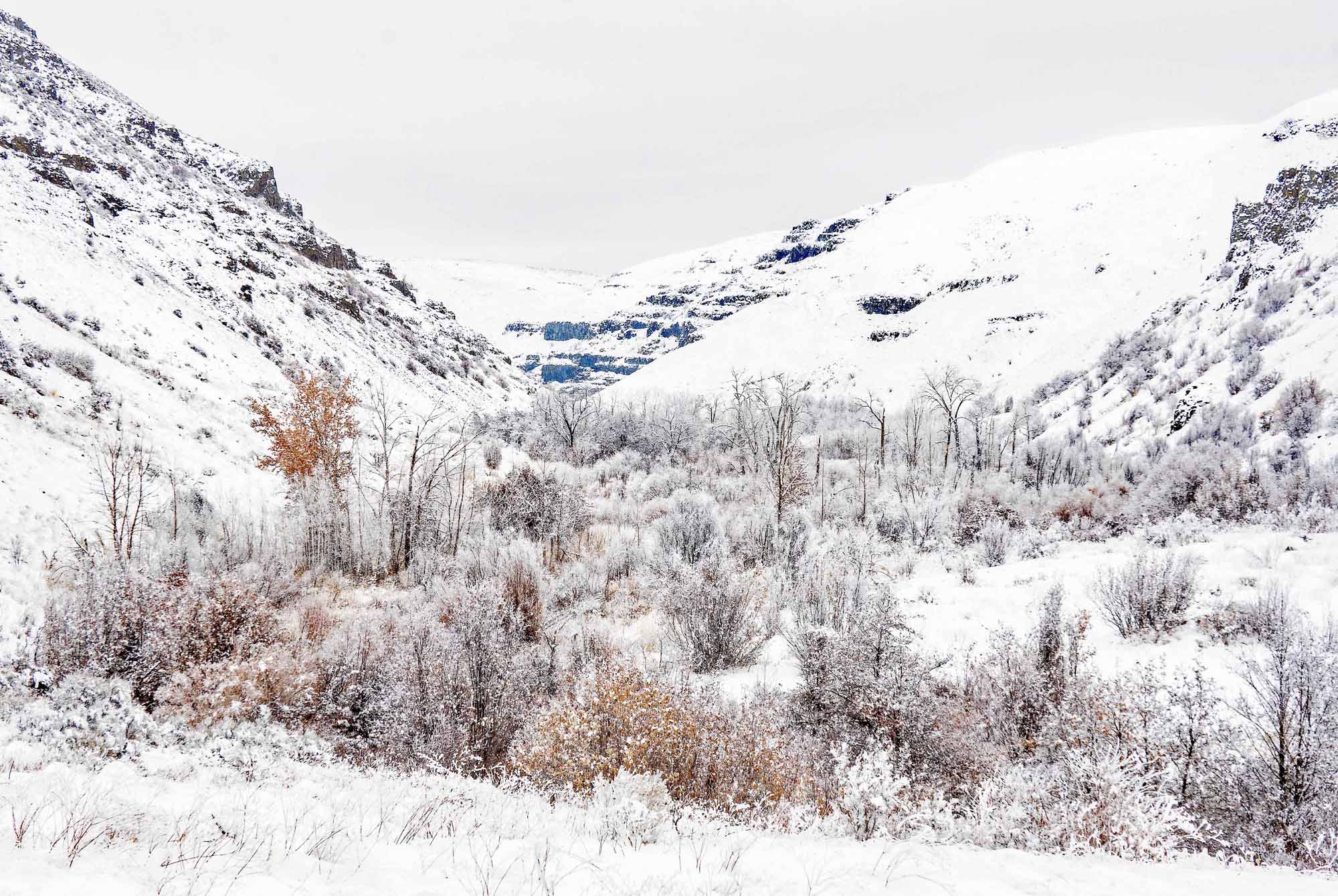 Umtanum Creek Canyon — Washington Trails Association