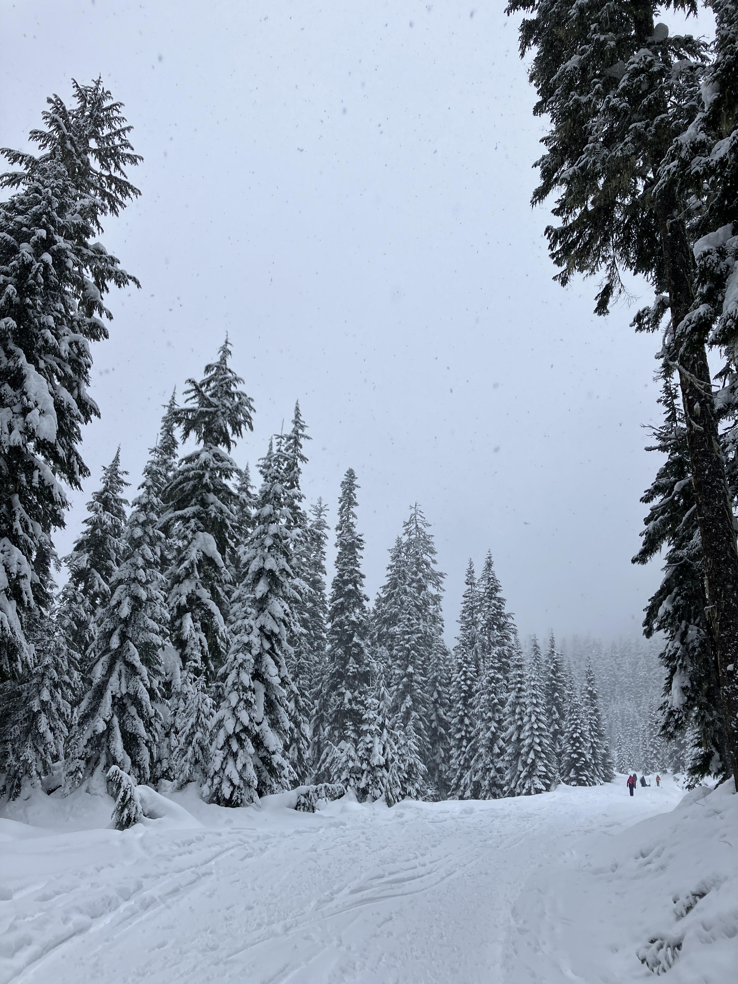 Lake Valhalla Snowshoe — Washington Trails Association