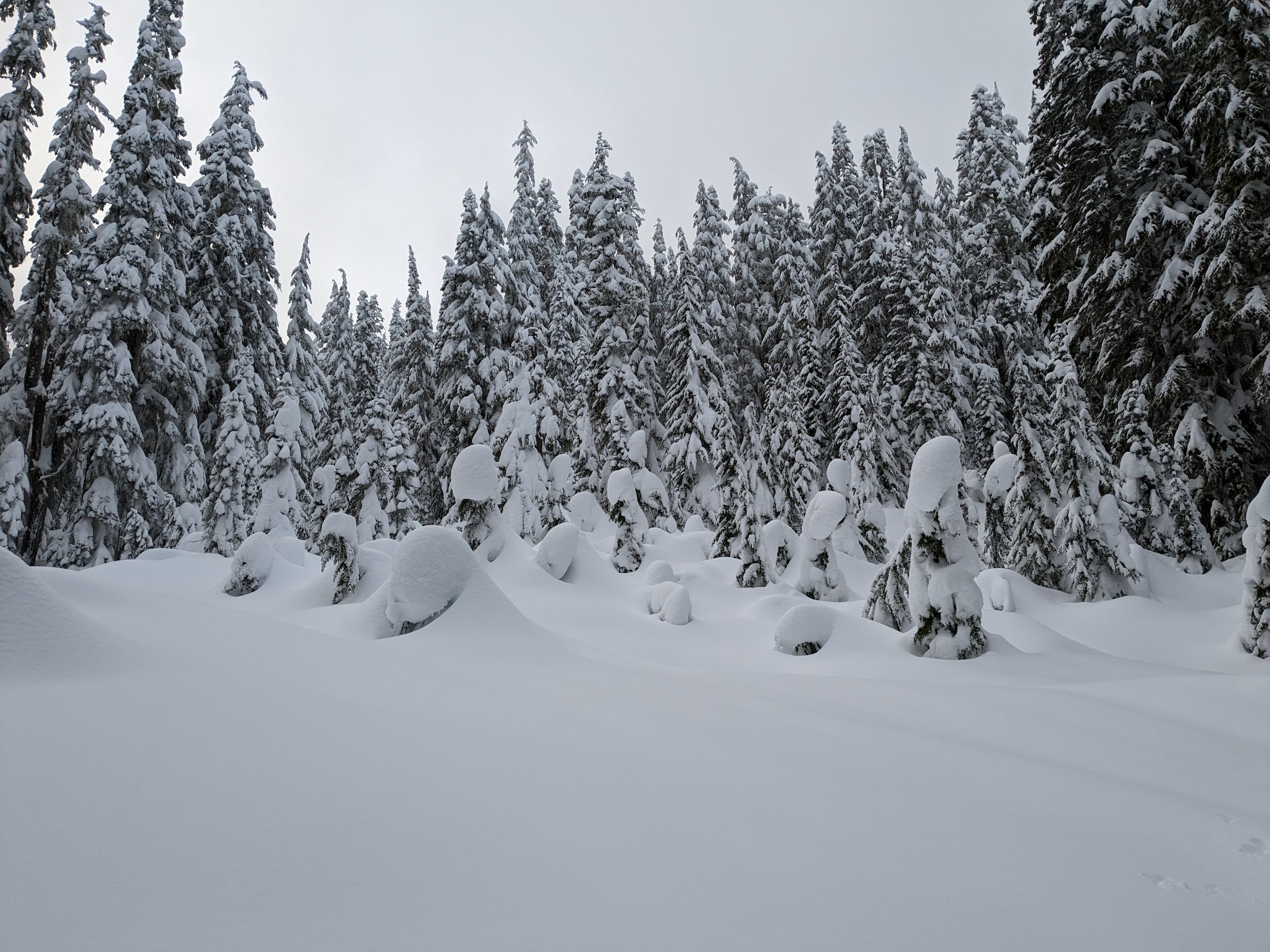 Lake Valhalla Snowshoe — Washington Trails Association