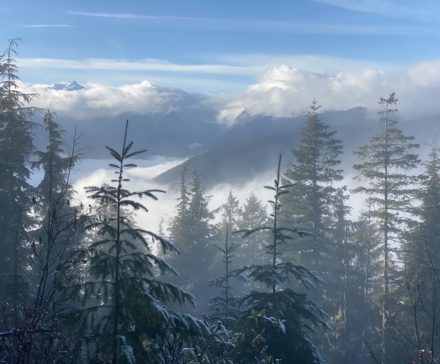 Mount Walker — Washington Trails Association