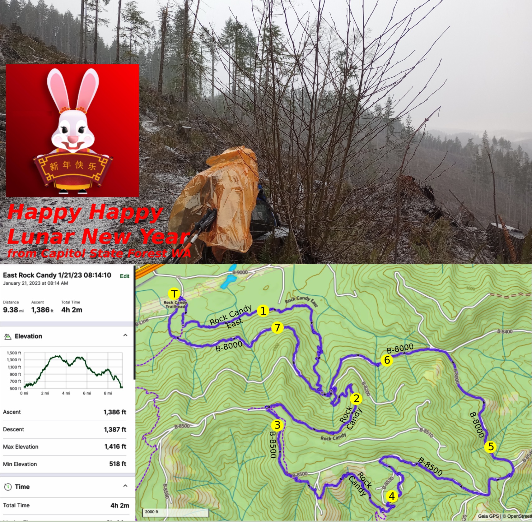 Capitol State Forest - Rock Candy Mountain — Washington Trails Association