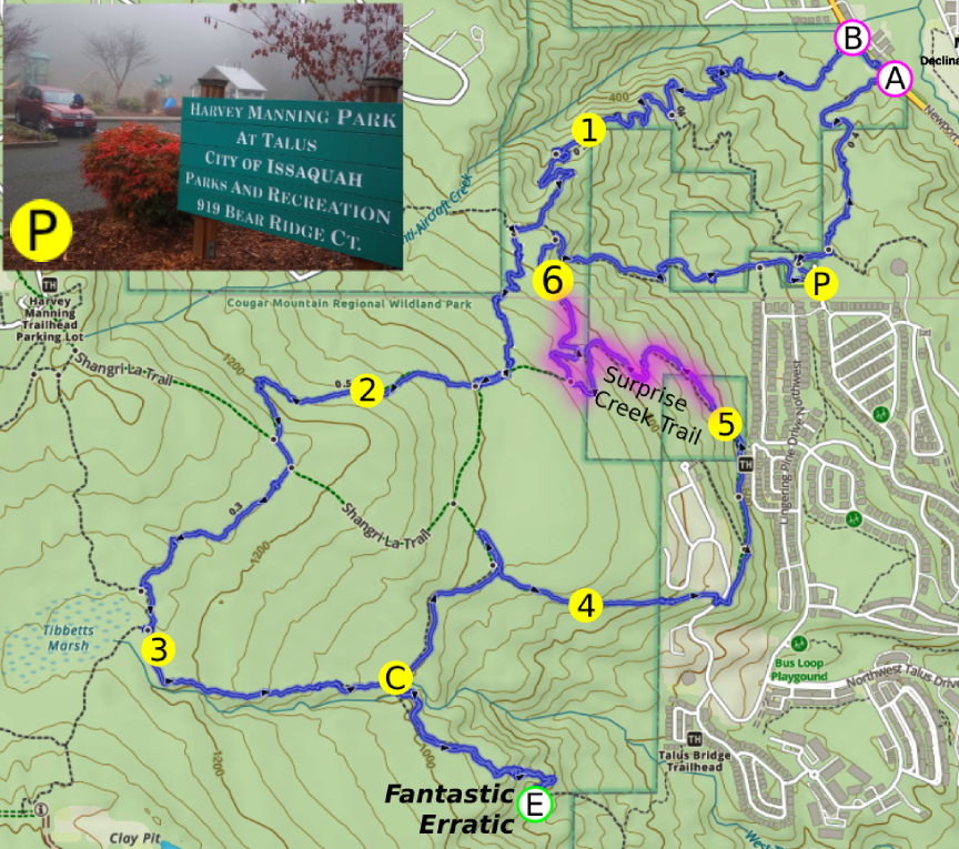 Big Tree Ridge, Red Cedars, Surprise Creek, Protector Trail, West ...