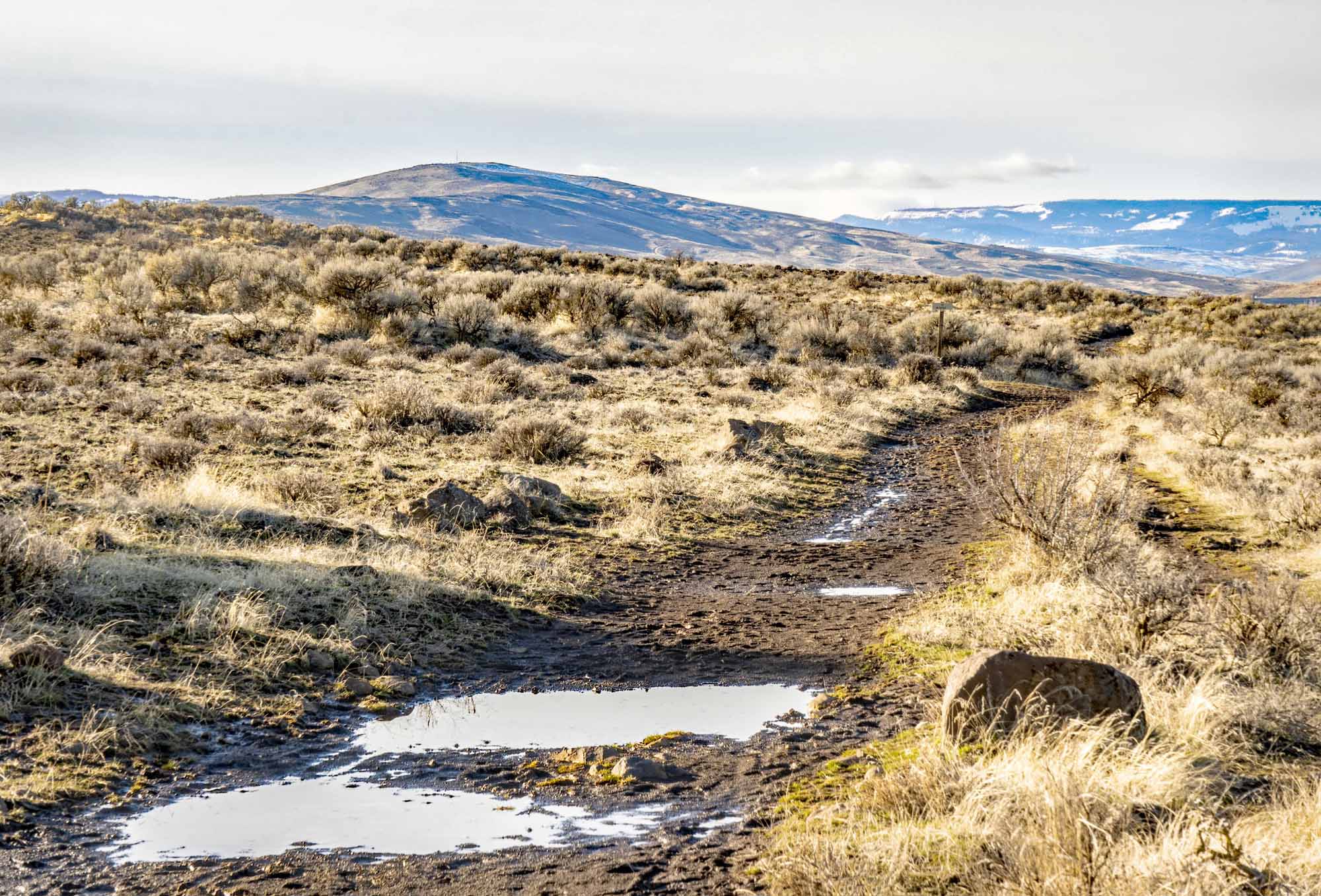 Cowiche Canyon Preserve — Washington Trails Association