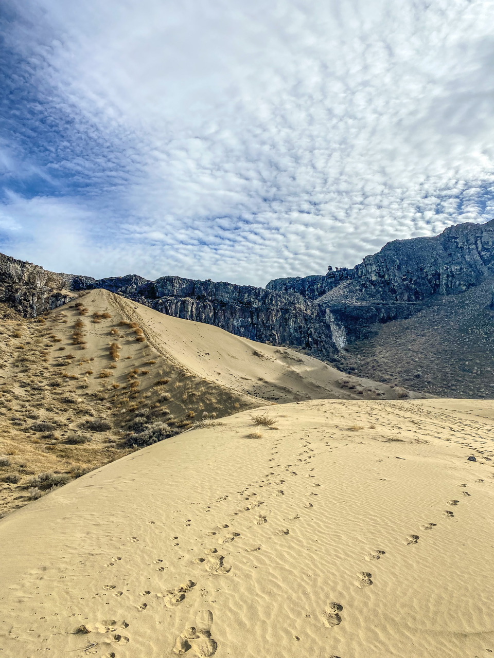 Frenchman Coulee — Washington Trails Association