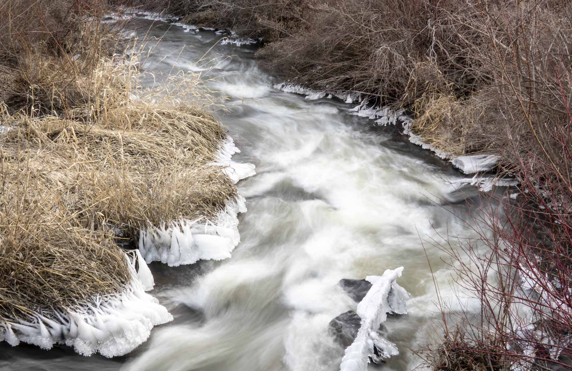 Cowiche Canyon Preserve — Washington Trails Association