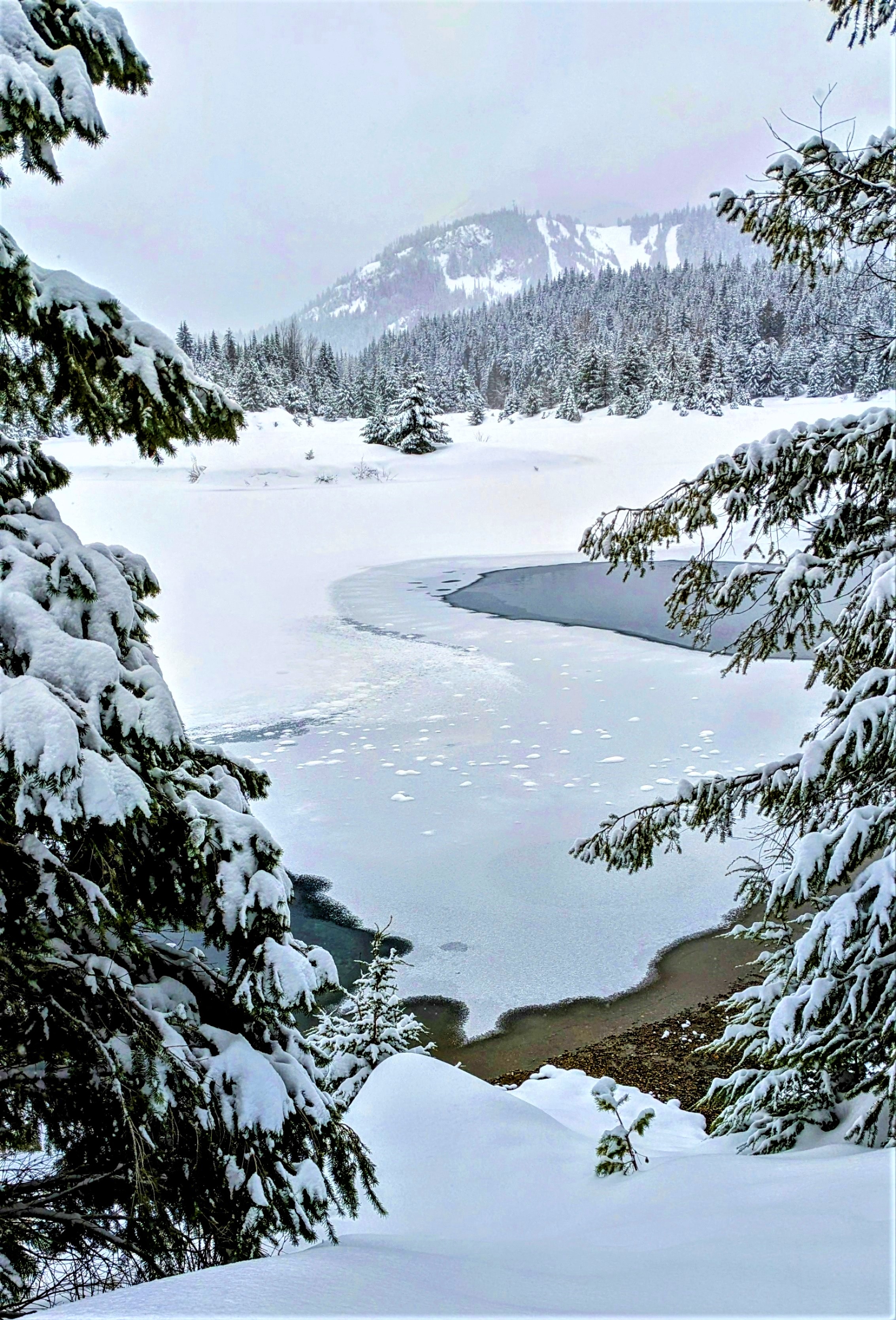 Gold Creek Pond Snowshoe — Washington Trails Association