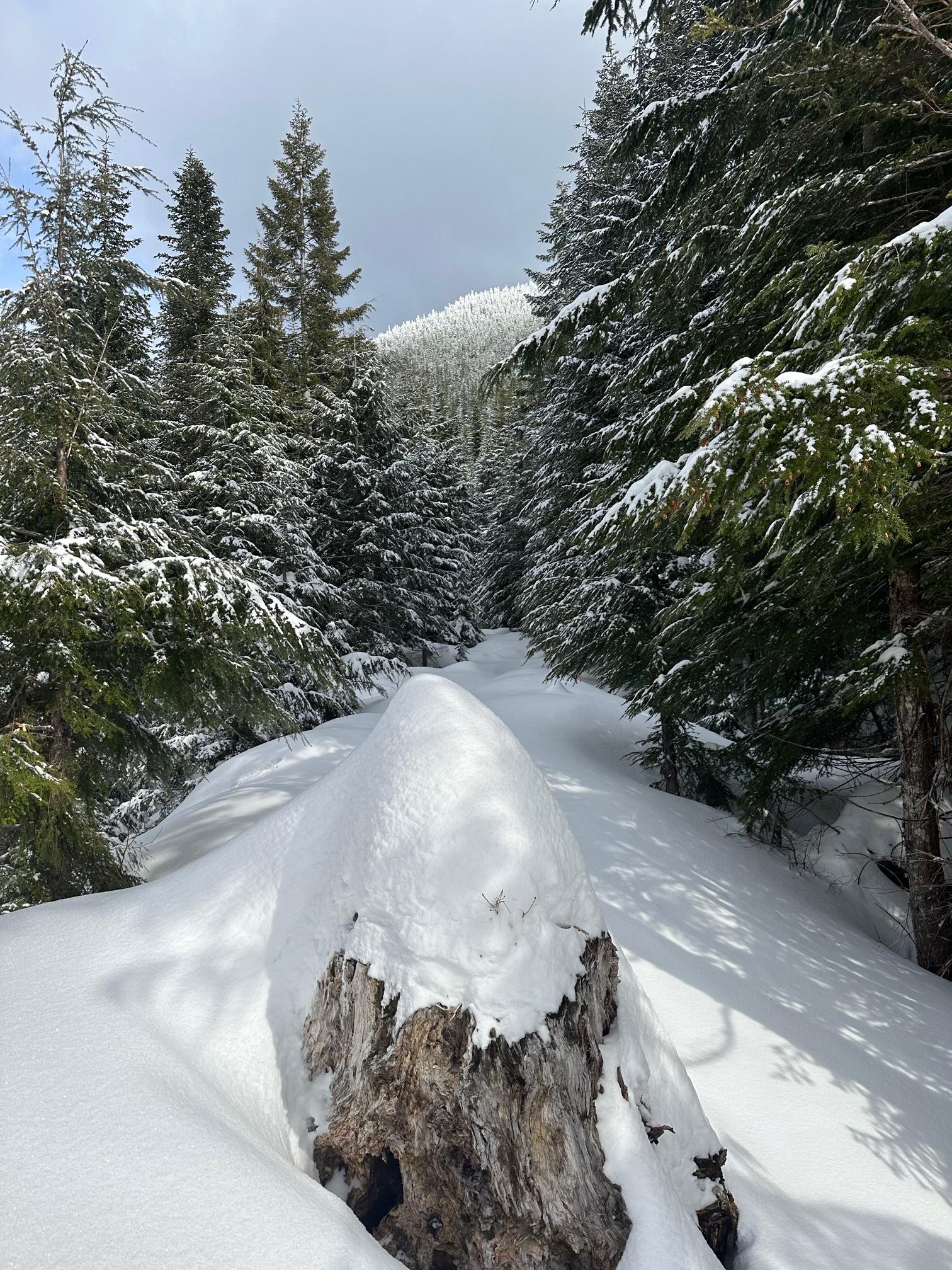 Mount Washington — Washington Trails Association