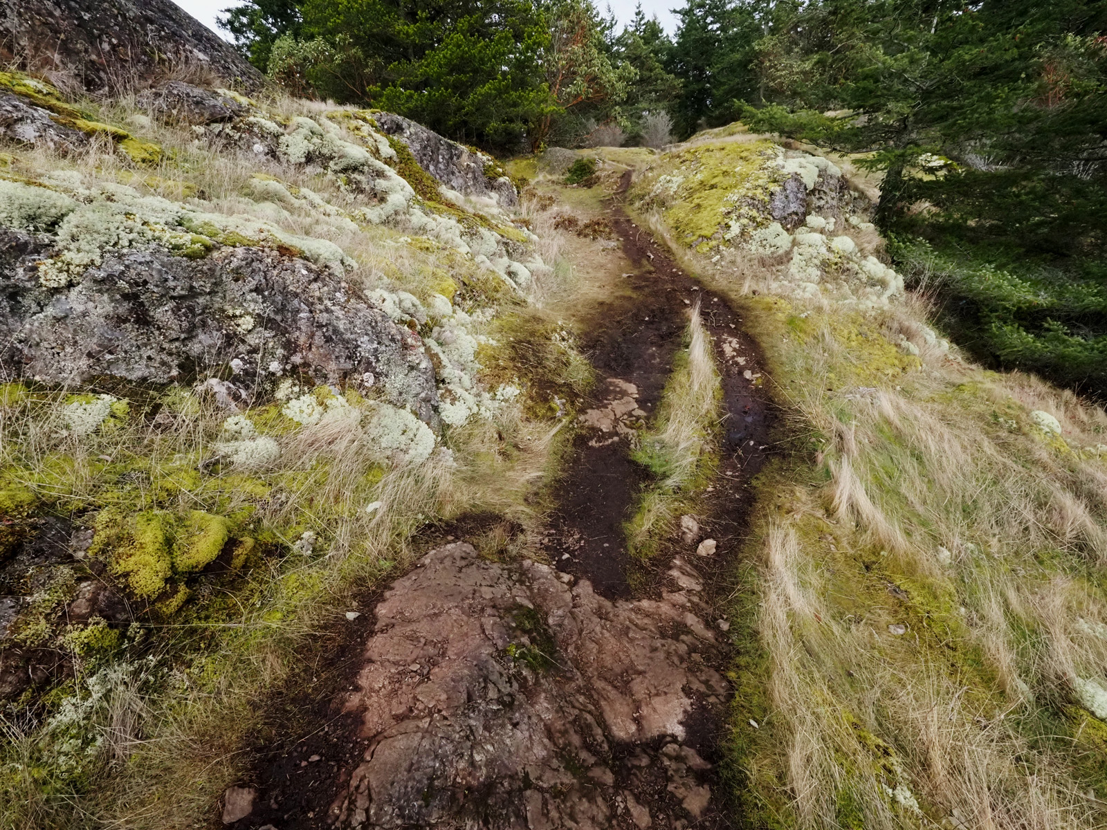 Deception Pass State Park - Goose Rock — Washington Trails Association