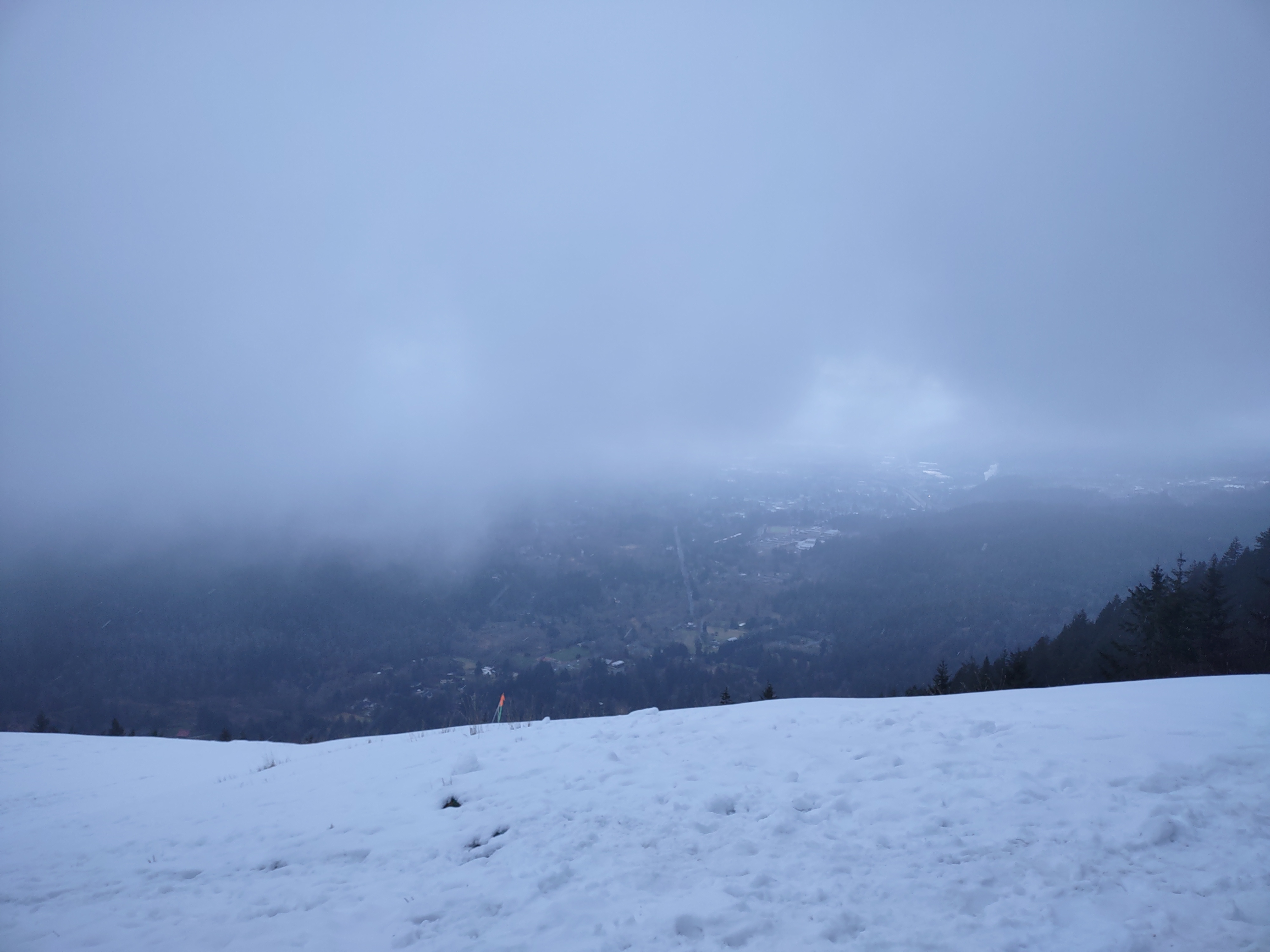 High School Trail, Poo Poo Point — Washington Trails Association
