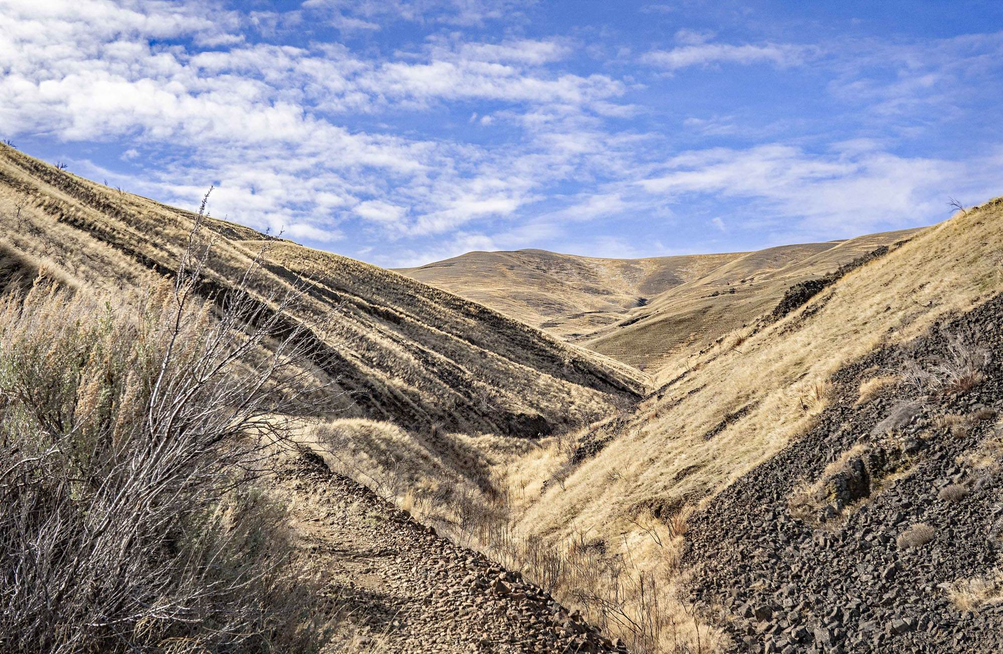 Umtanum Creek Canyon — Washington Trails Association