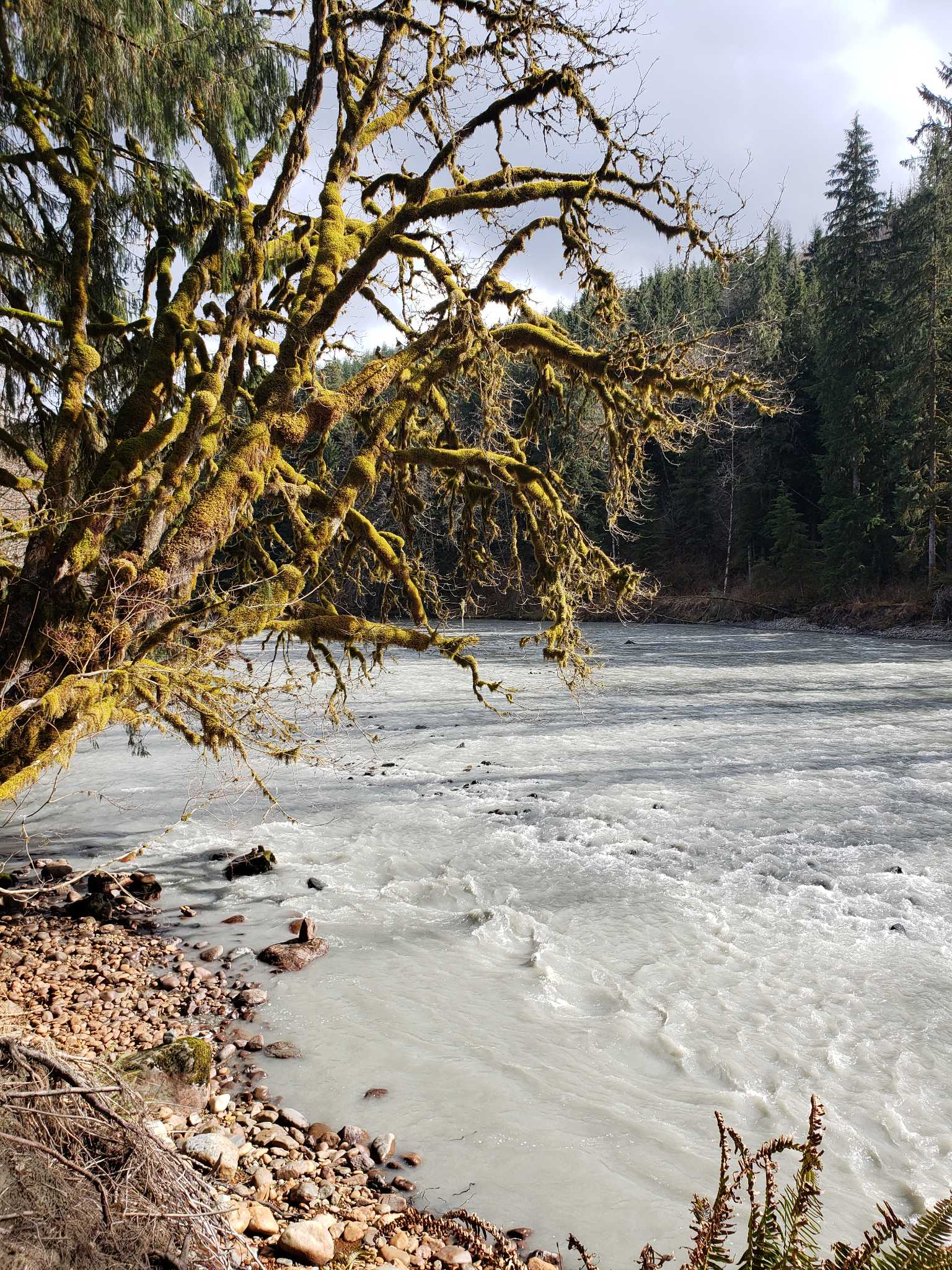 Old Robe Canyon — Washington Trails Association