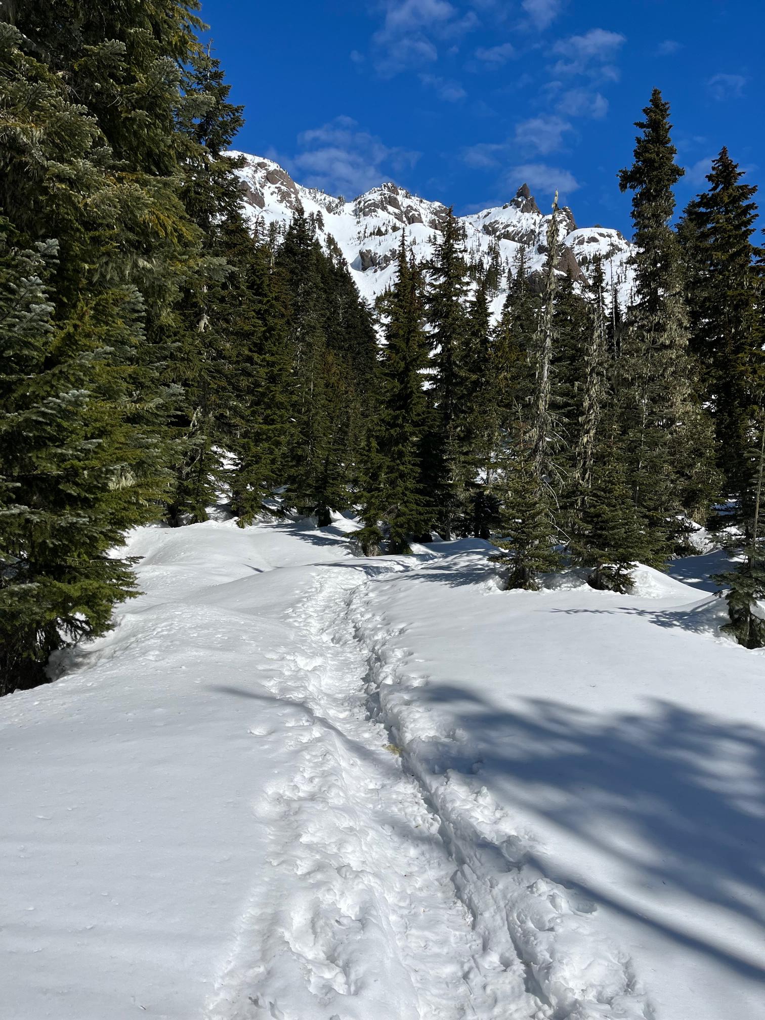Mount Ellinor — Washington Trails Association