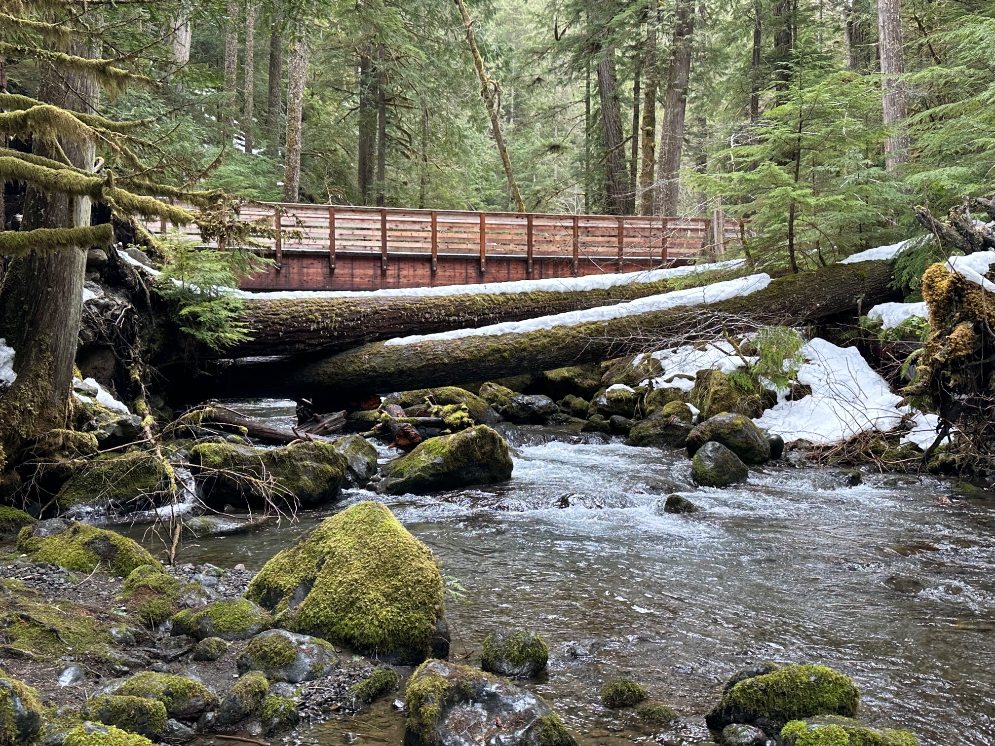 Lower Big Quilcene River — Washington Trails Association