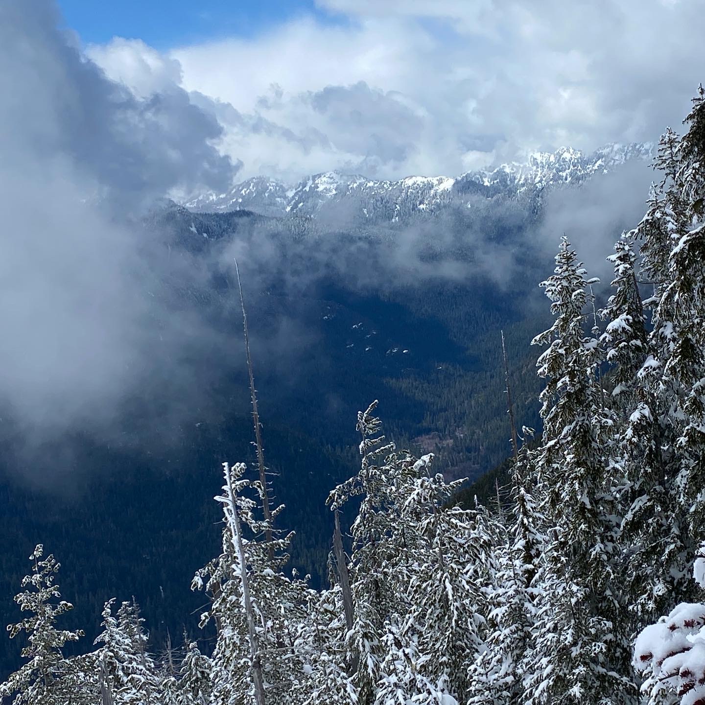 Mount Rose — Washington Trails Association