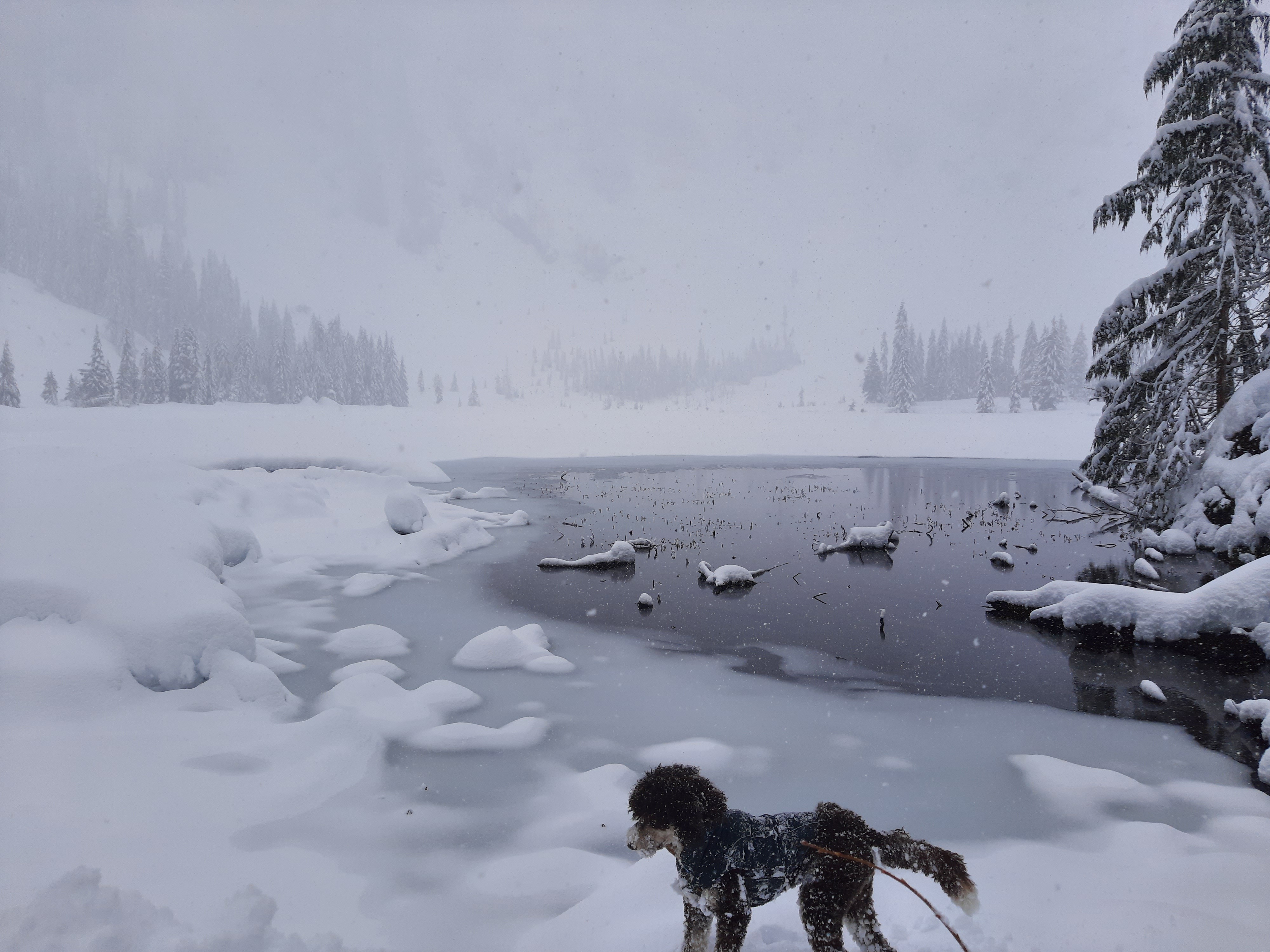 Heather Lake — Washington Trails Association