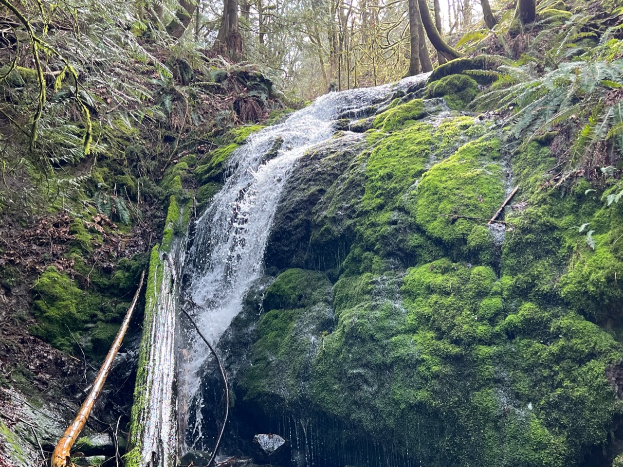 Coal Creek Falls, Indian Trail, Cave Hole, Quarry, Fred's Railroad, Shy ...