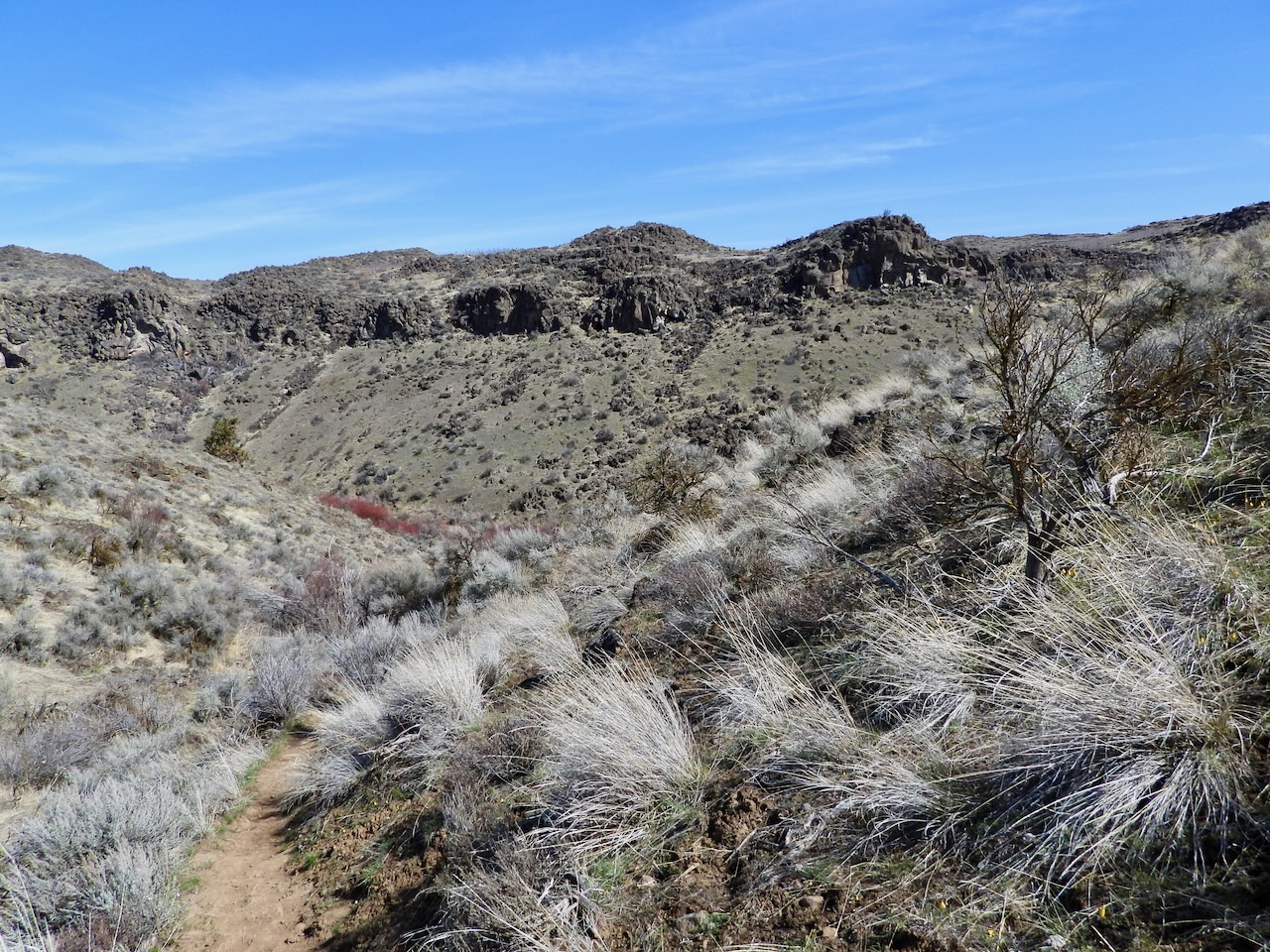 Cowiche Canyon Preserve — Washington Trails Association