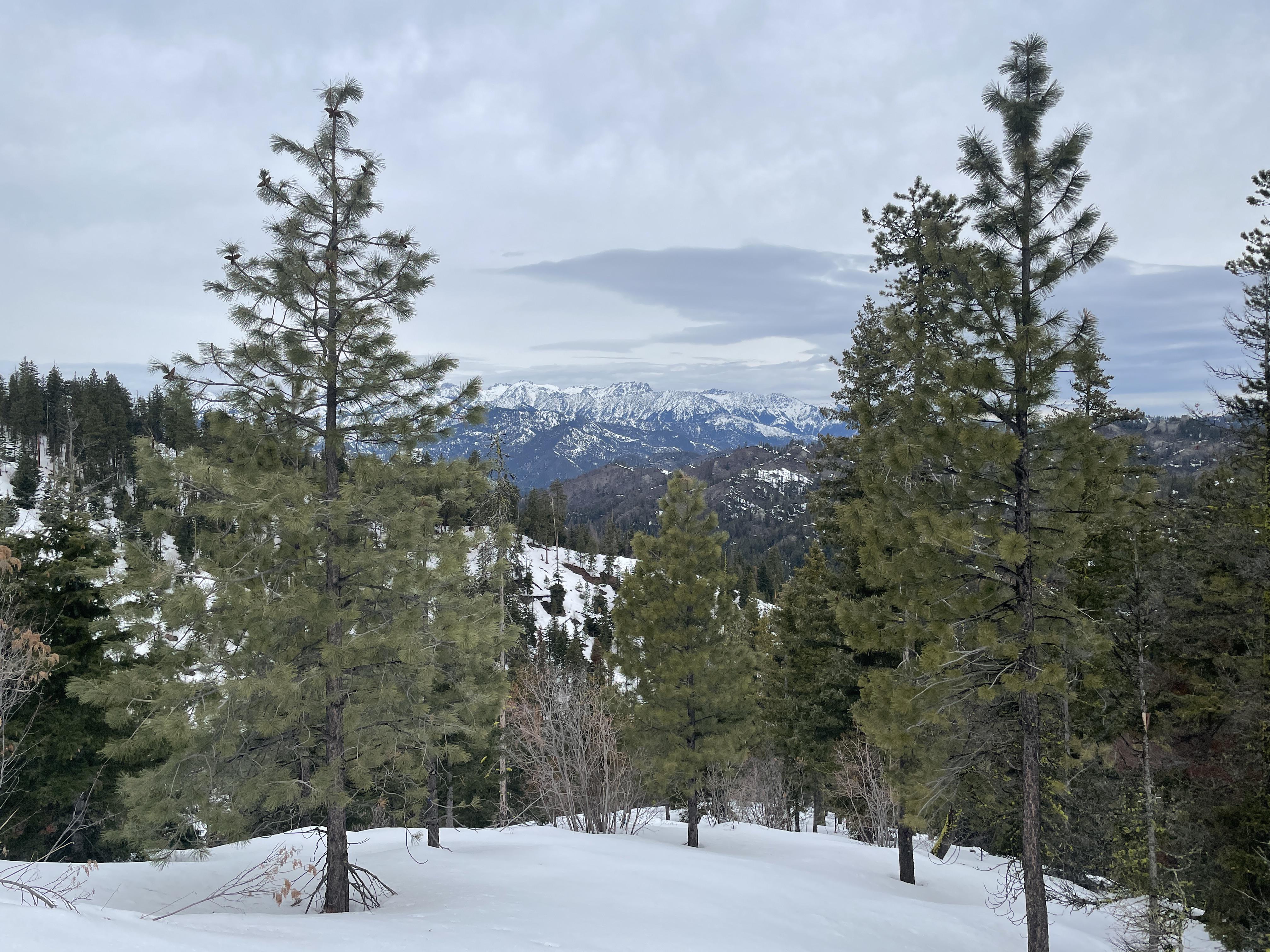 Wenatchee Crest Snowshoe (Blewett Pass) — Washington Trails Association