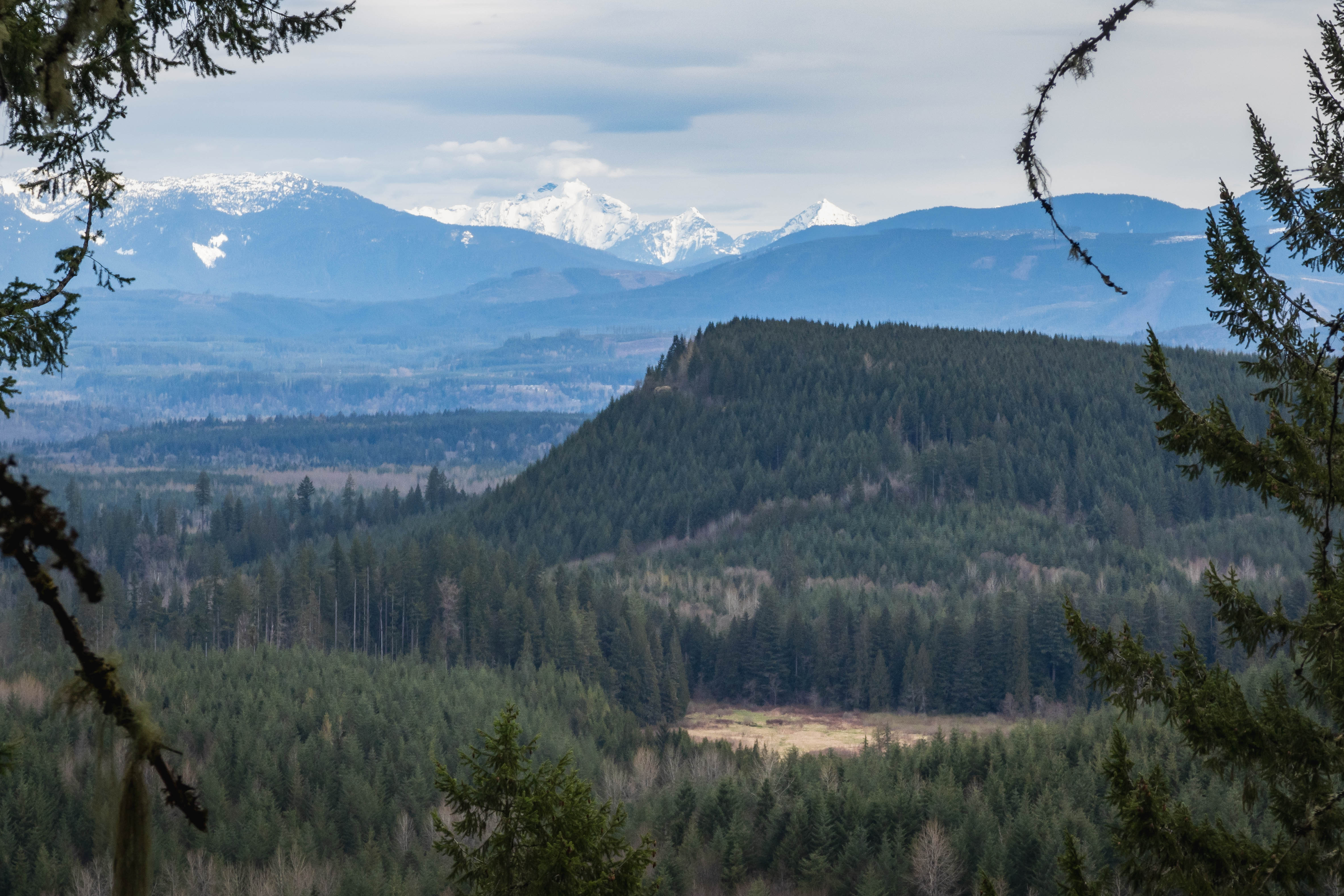 Platts Lookout, Hill 1125, Marckworth Forest — Washington Trails ...