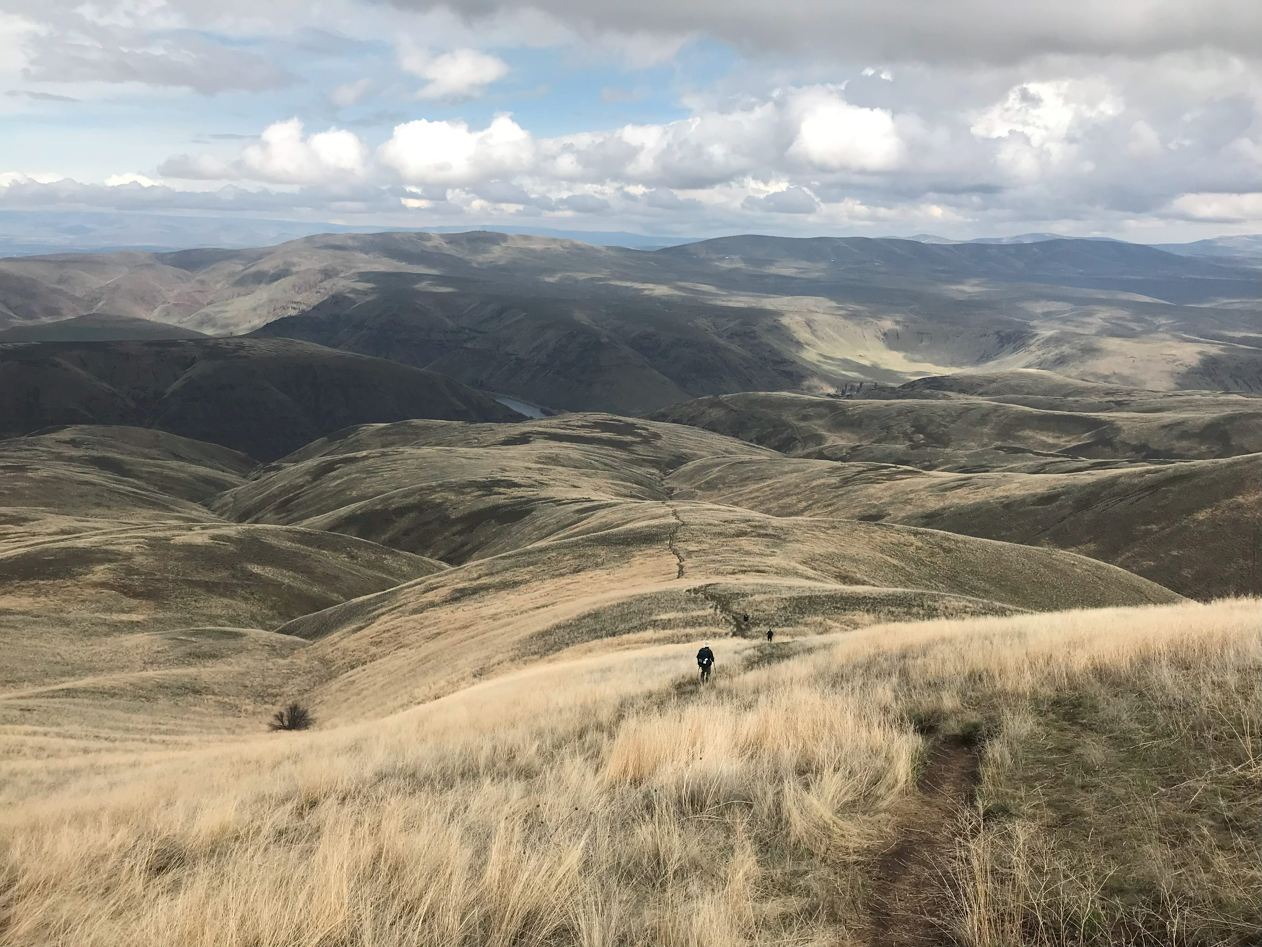 Umtanum Creek Canyon, Umtanum Ridge Crest — Washington Trails Association