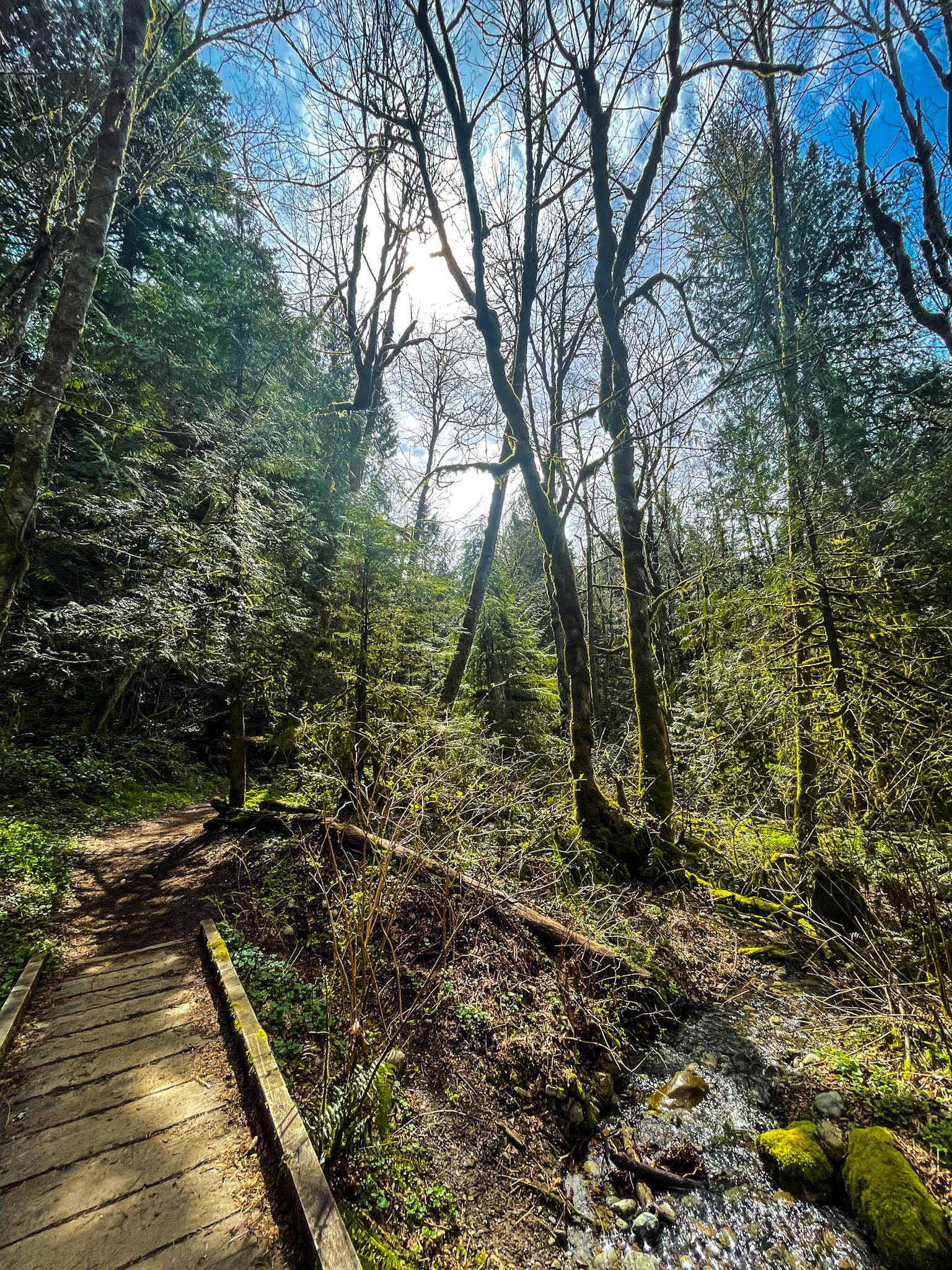 May Valley Loop, Bullitt Gorge, Perimeter Loop Trail, Chybinski Loop ...