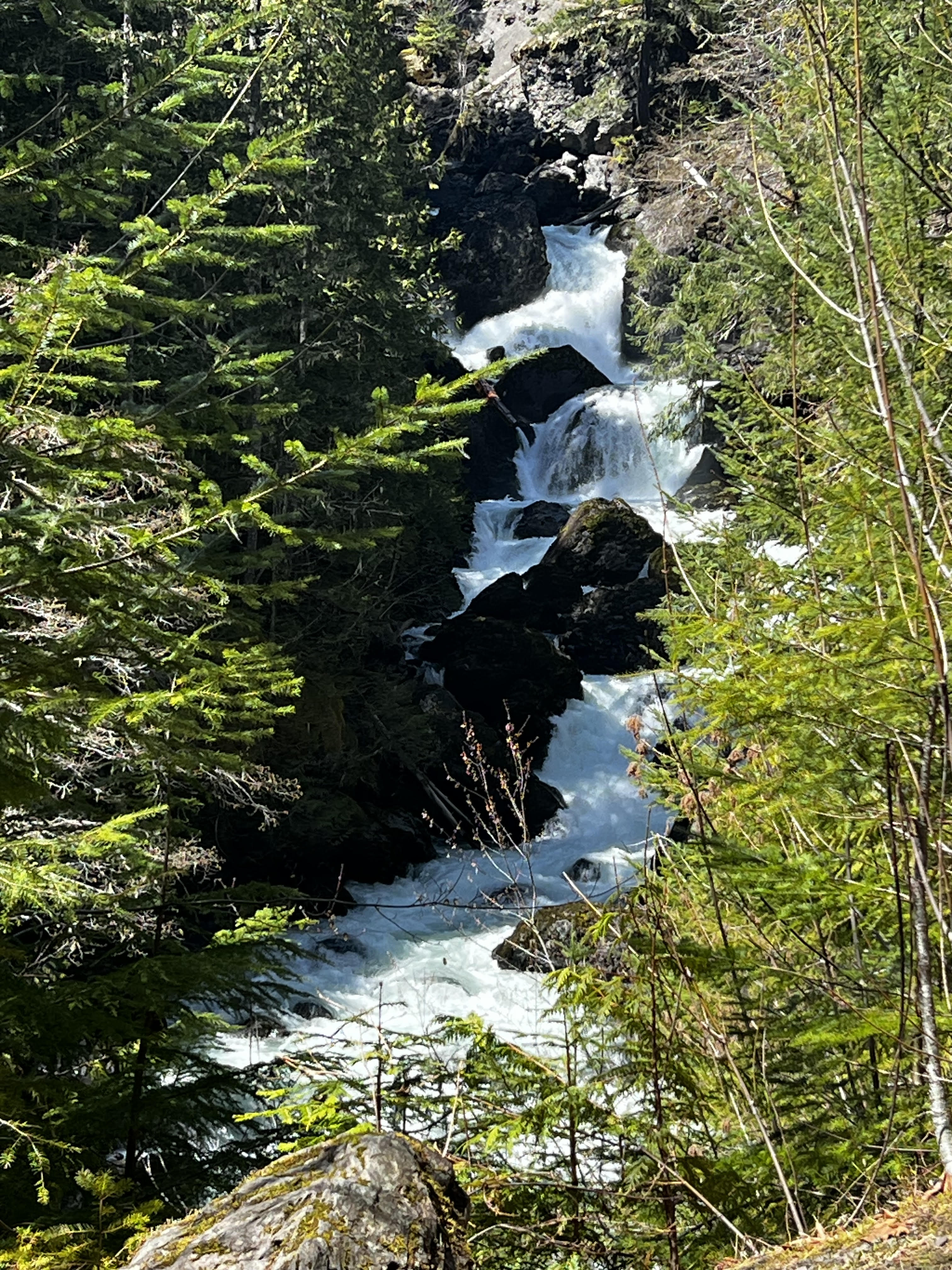 Dosewallips River Road — Washington Trails Association