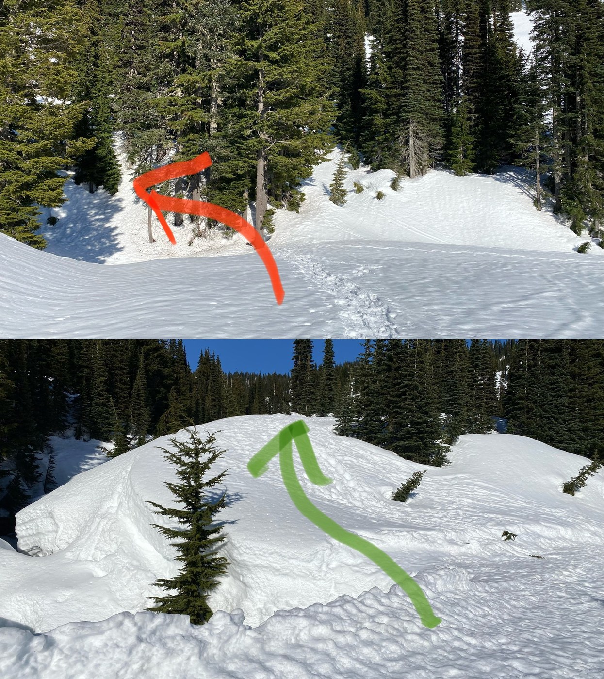 Mazama Ridge Snowshoe — Washington Trails Association