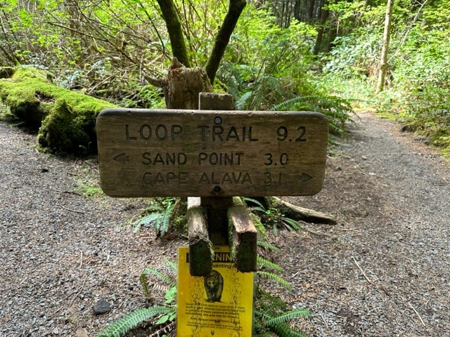 Cape Alava Loop (Ozette Triangle) — Washington Trails Association