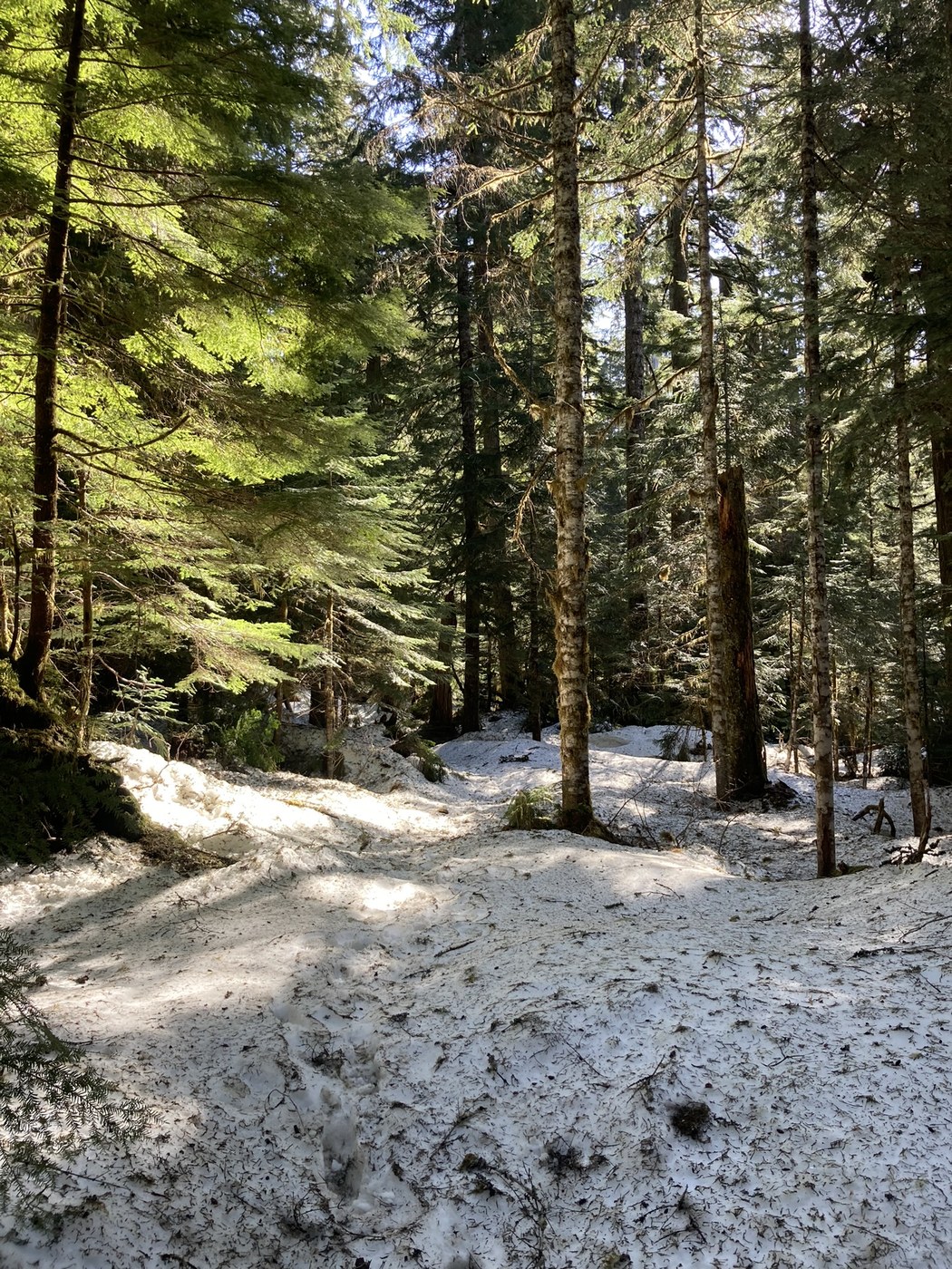 Dingford Creek-Hester Lake, Middle Fork Snoqualmie River — Washington ...