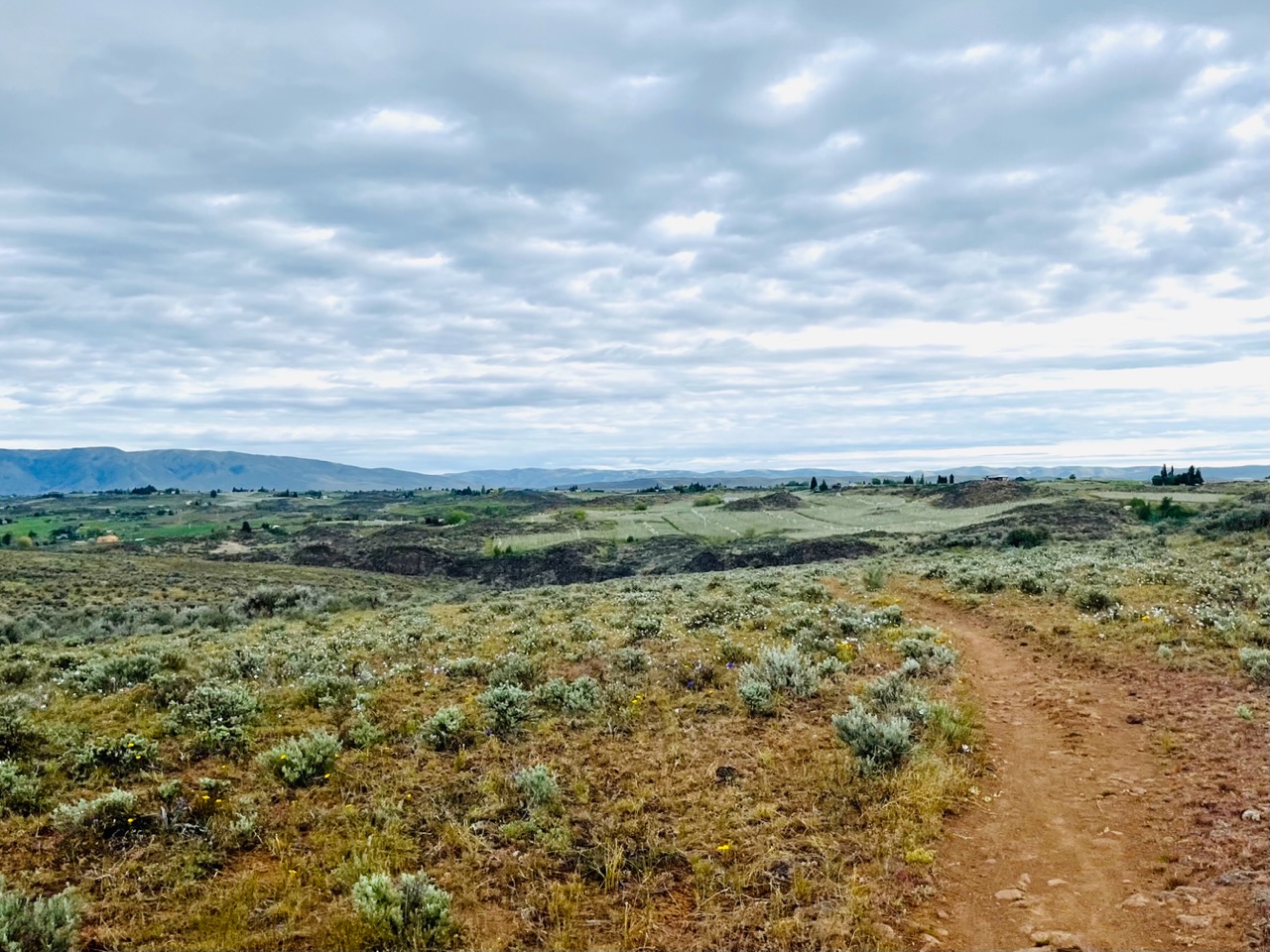 Cowiche Canyon Preserve — Washington Trails Association
