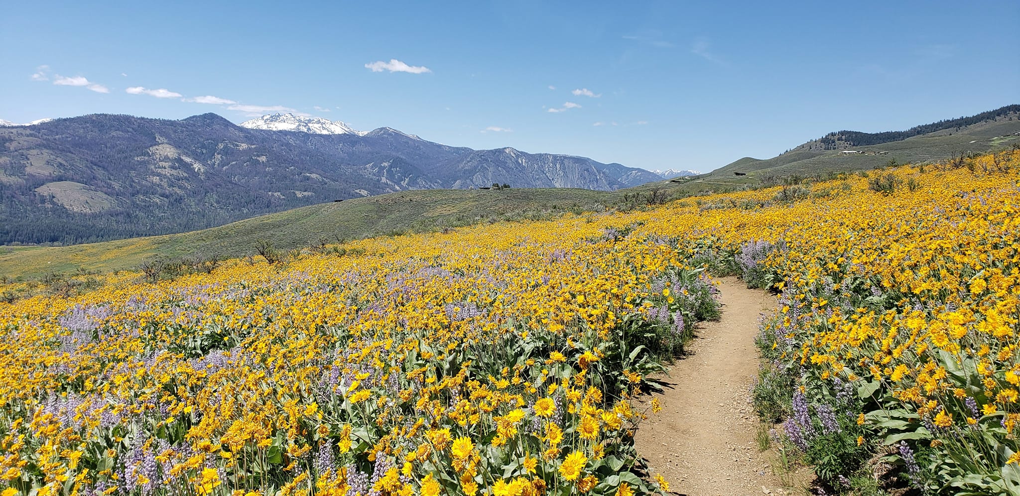 Lewis Butte — Washington Trails Association