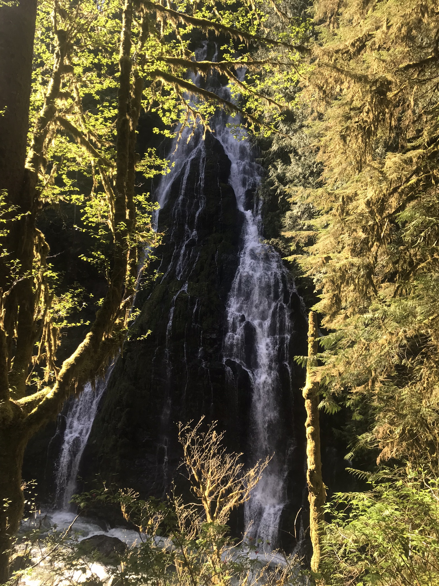 Boulder River — Washington Trails Association