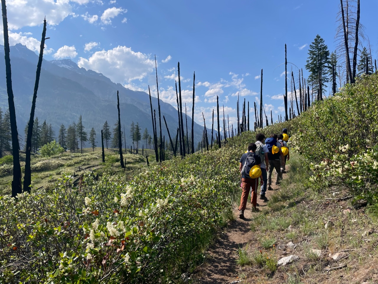 Chelan Lakeshore Trail — Washington Trails Association